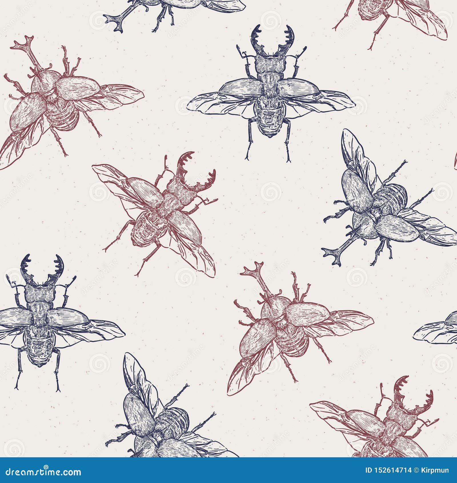 Beetles, Hand Draw Sketch Seamless Pattern Vector Stock Vector ...
