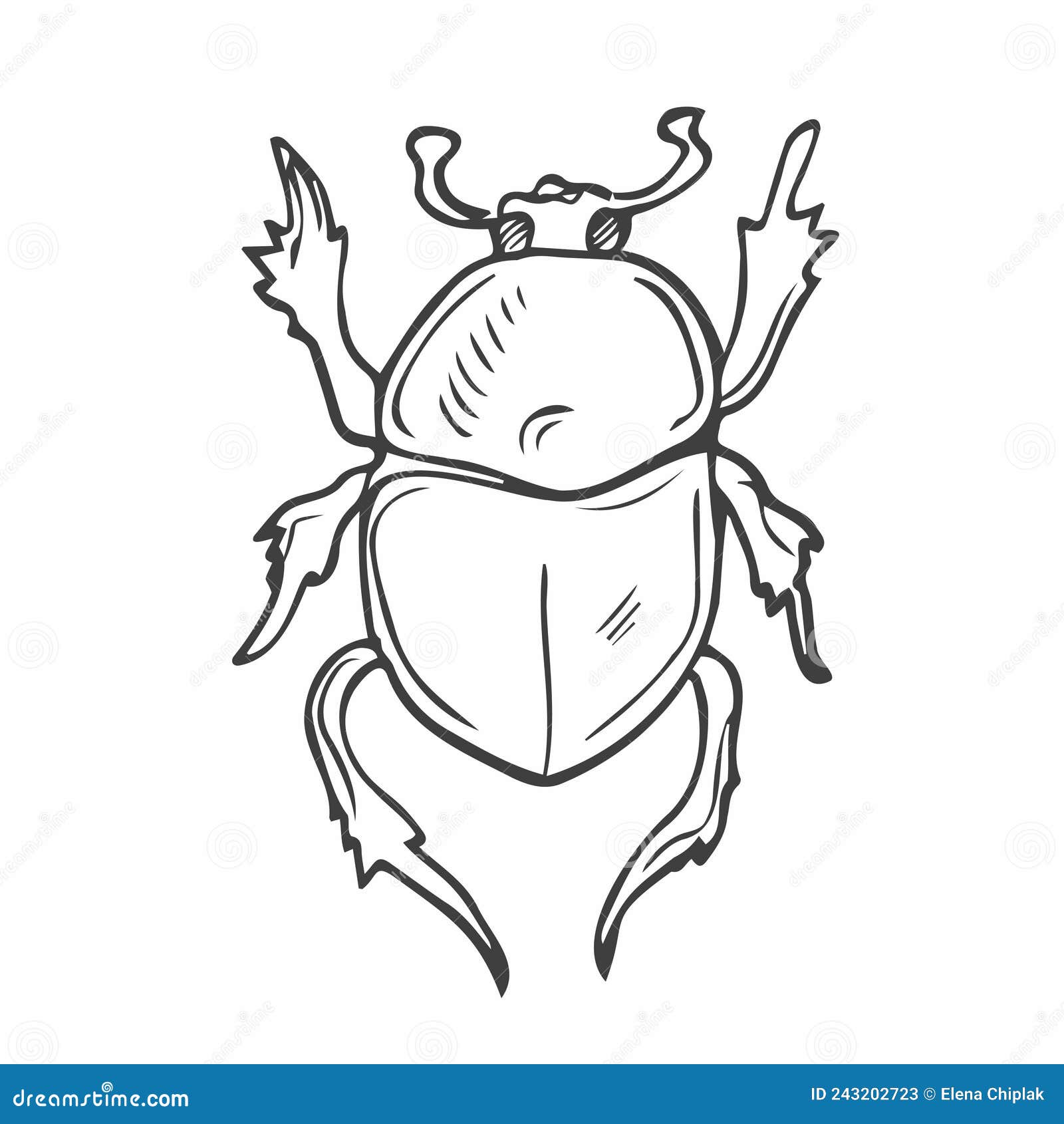 Beetles Set Hand Drawn Elements in Doodle Style. Vector Scandinavian ...