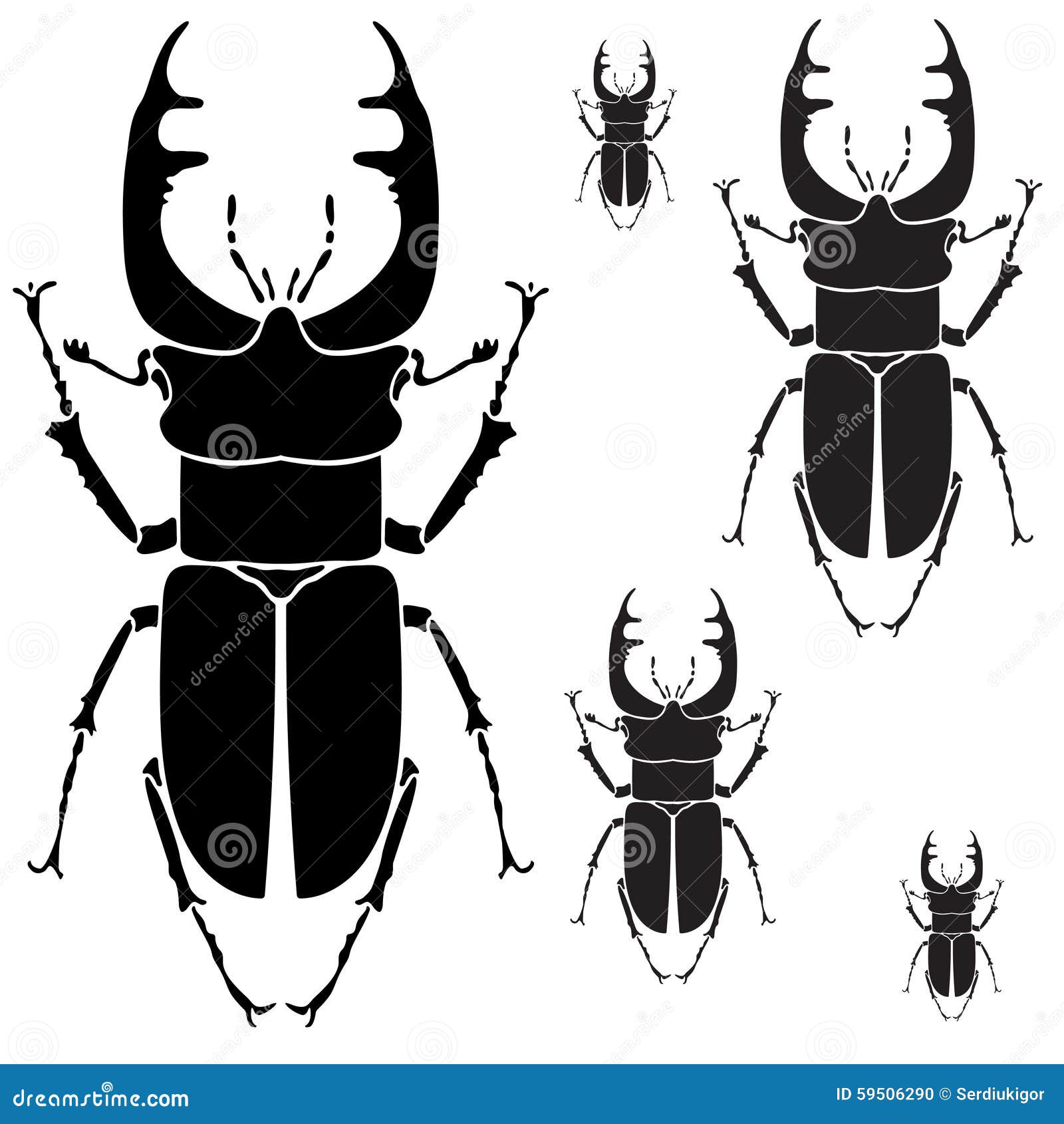 Set Of Vector Beetles | CartoonDealer.com #135352923