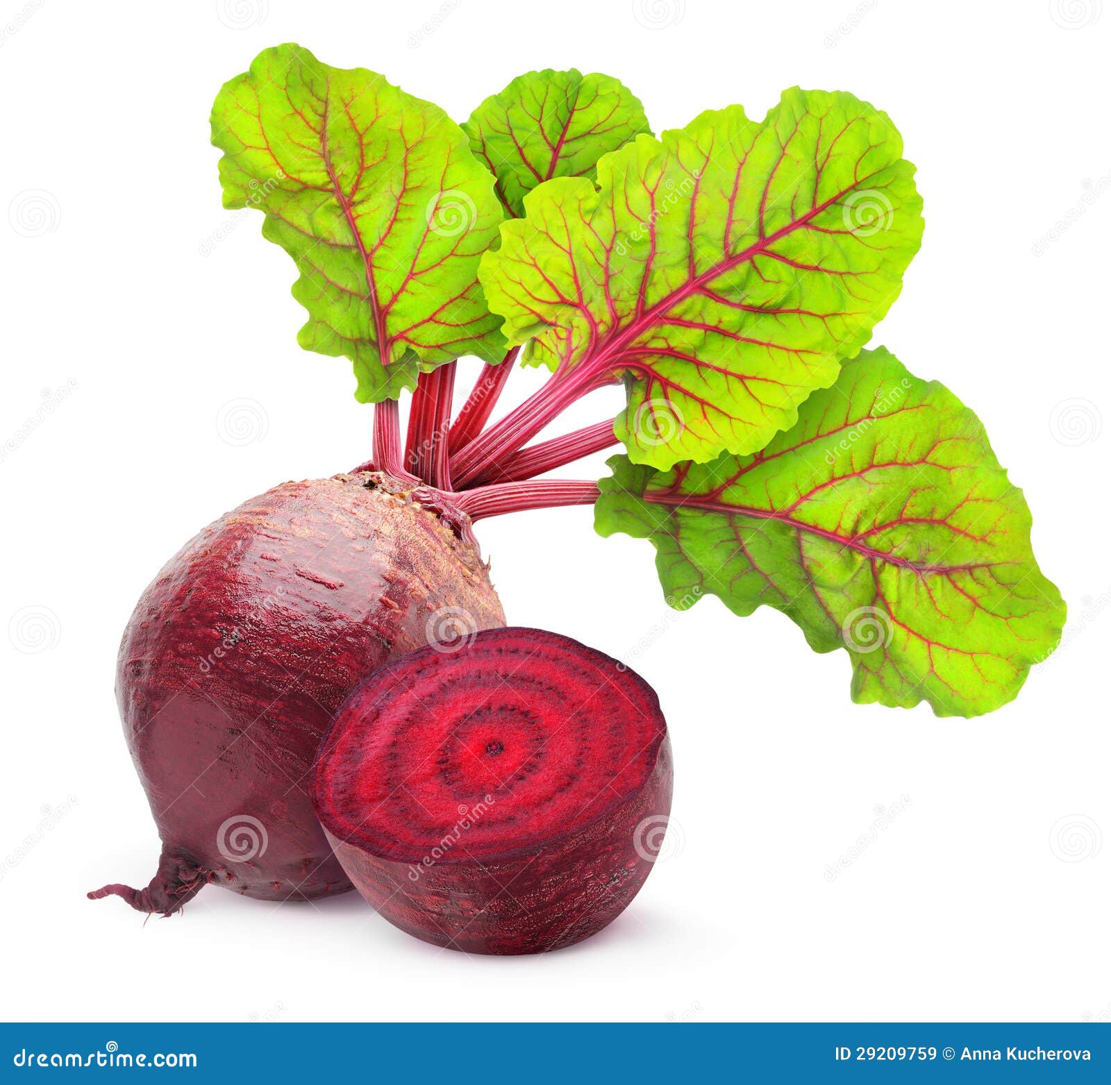 Beetroot stock image. Image of slice, ingredient, green - 29209759