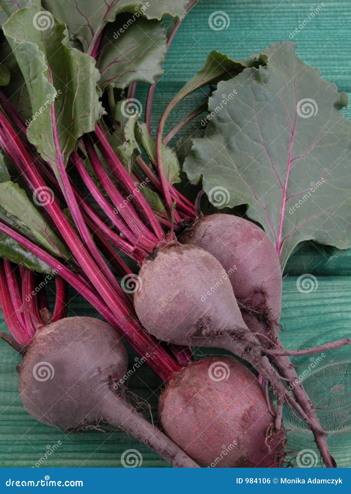 Beetroot stock photo. Image of details, eating, agriculture - 984106