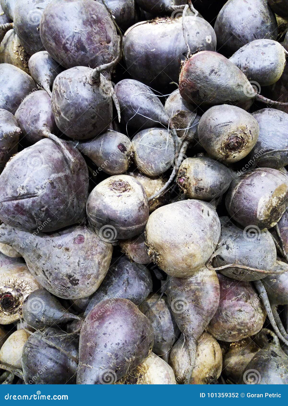 Beetroot, Also Known As Simply Beet, Table Beet, Garden Beet, Red Beet ...