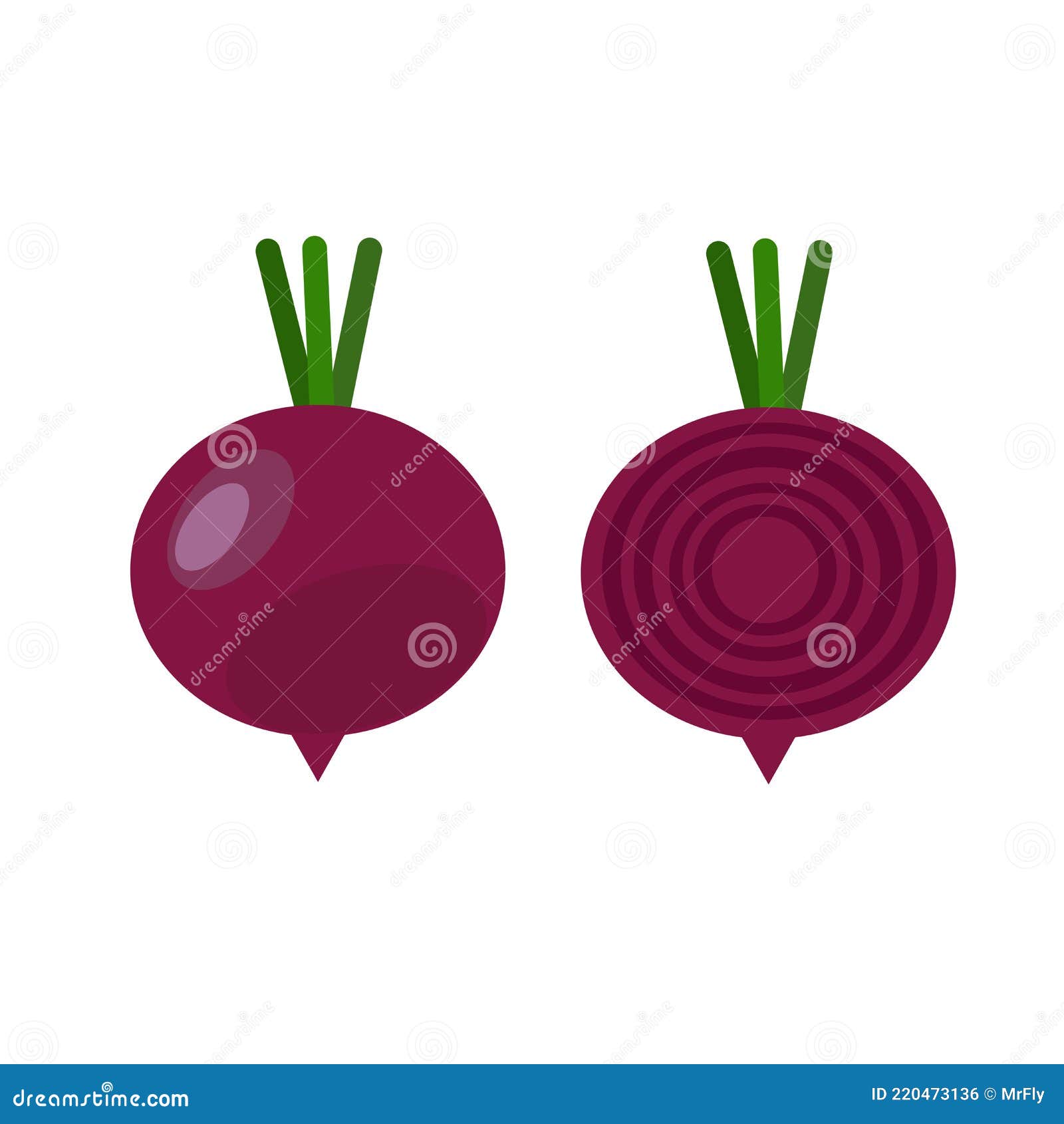 Beetroot Animated Vector Illustration Stock Vector - Illustration of ...
