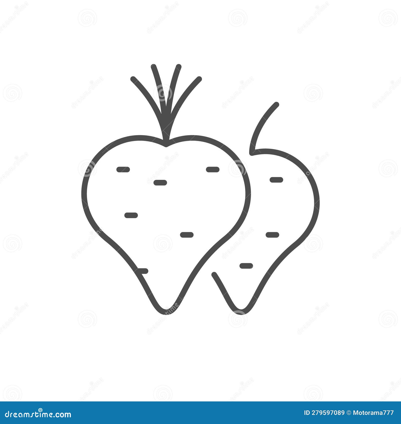 Beetroot Outline Sketch Cartoon Vector | CartoonDealer.com #286448307