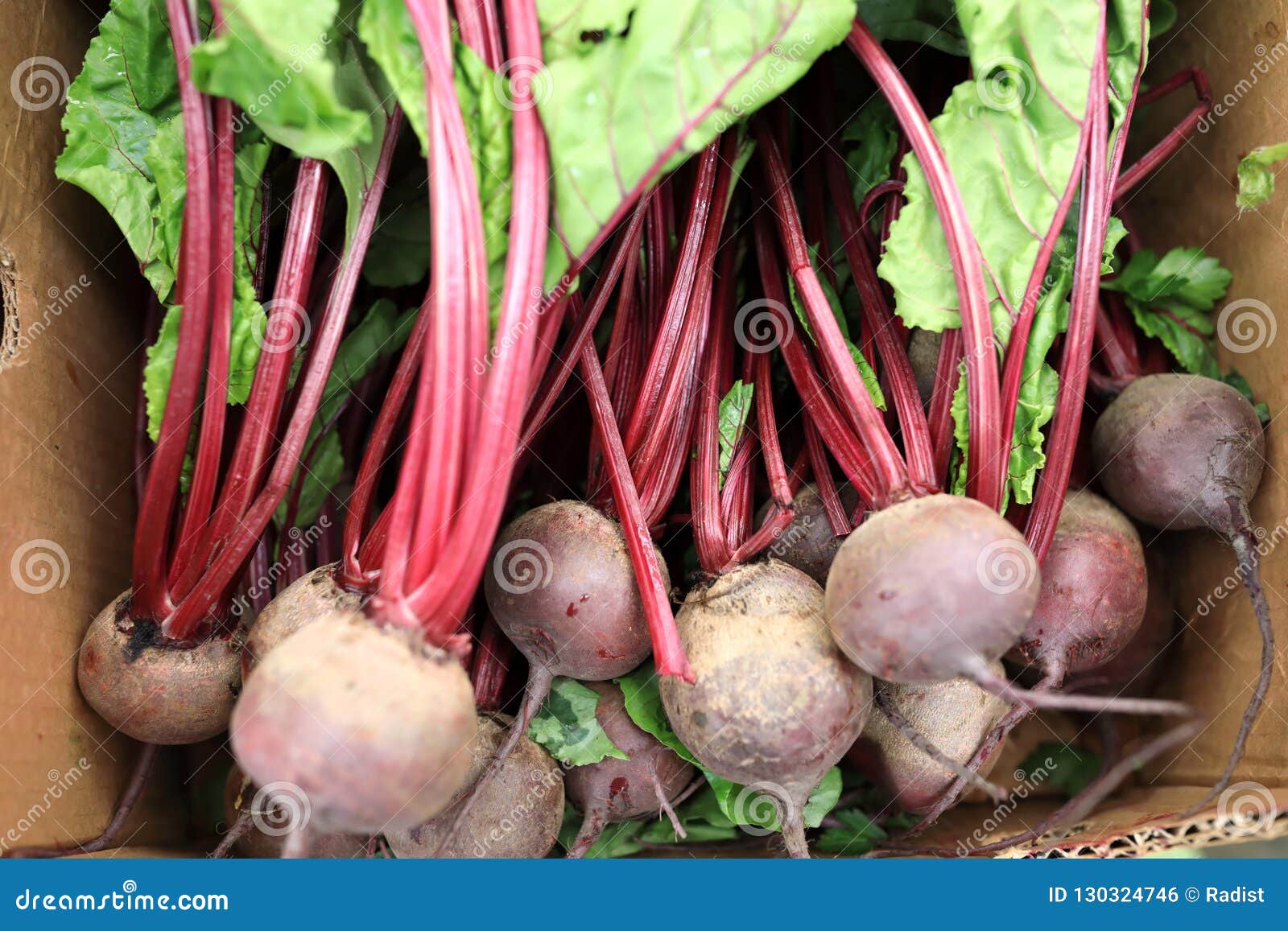 Beetroot in box stock photo. Image of harvesting, fresh - 130324746