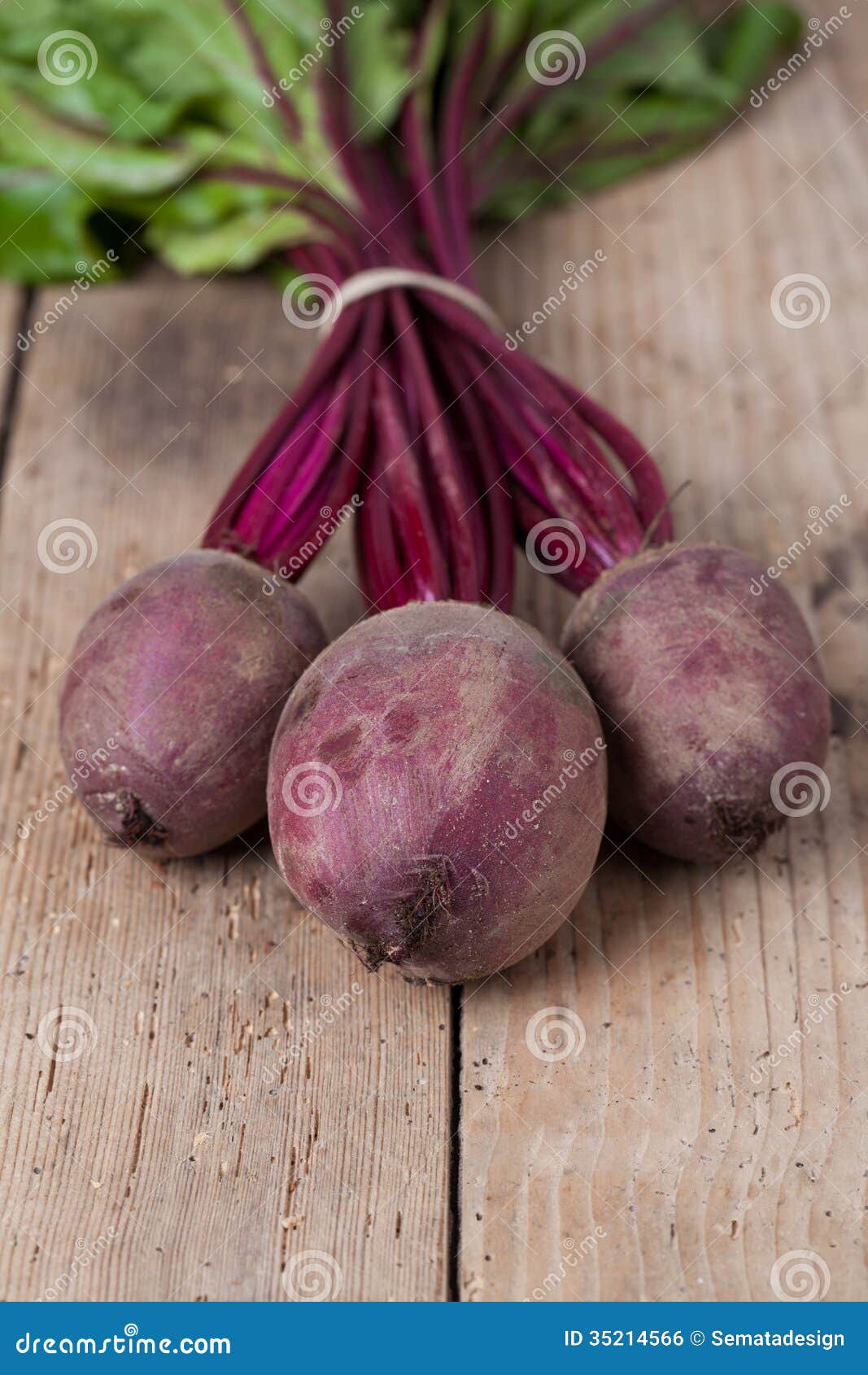 Beetroot stock photo. Image of freshness, beet, drink - 35214566