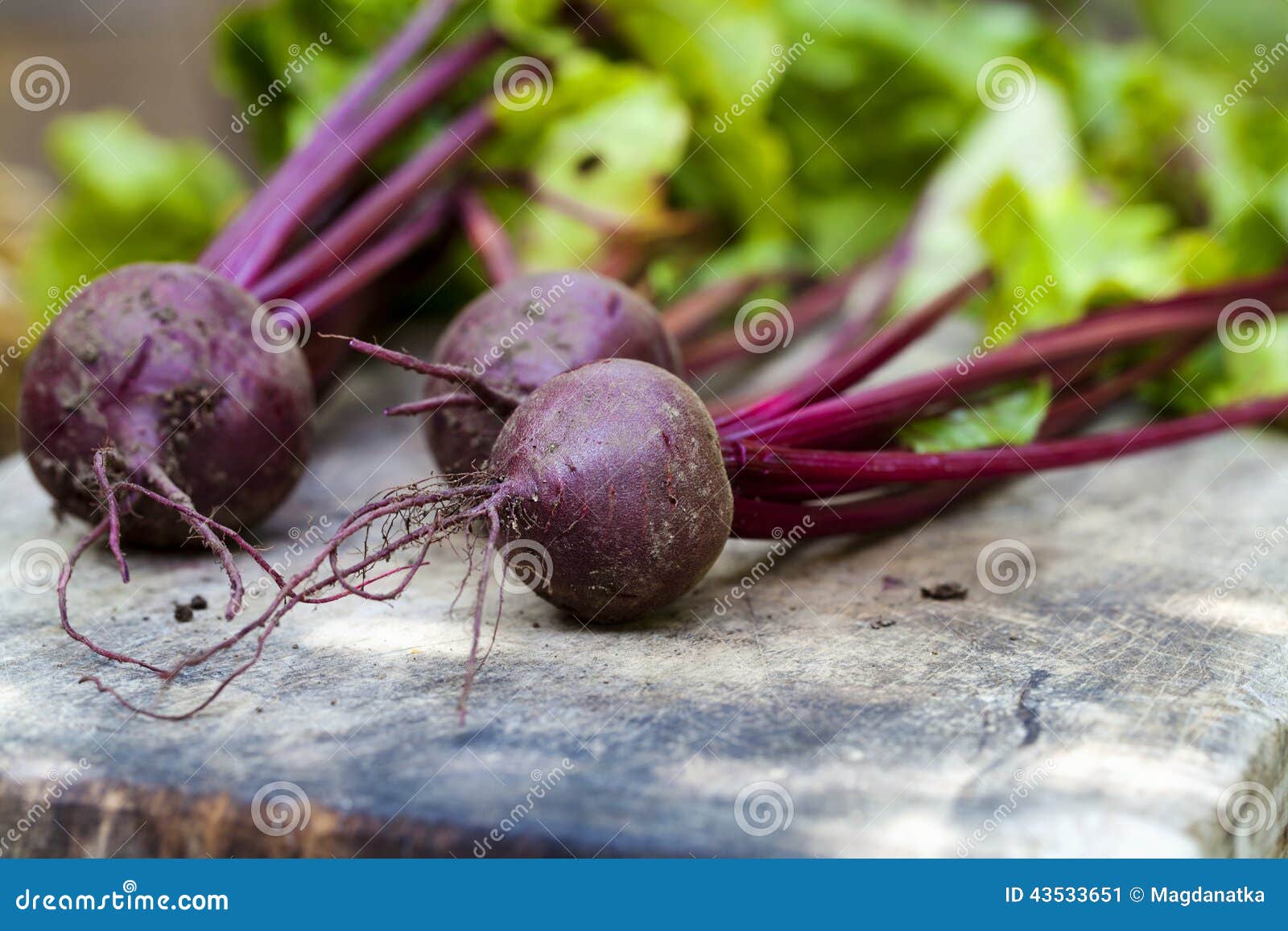 Beetroot stock image. Image of crop, ingredient, round - 43533651