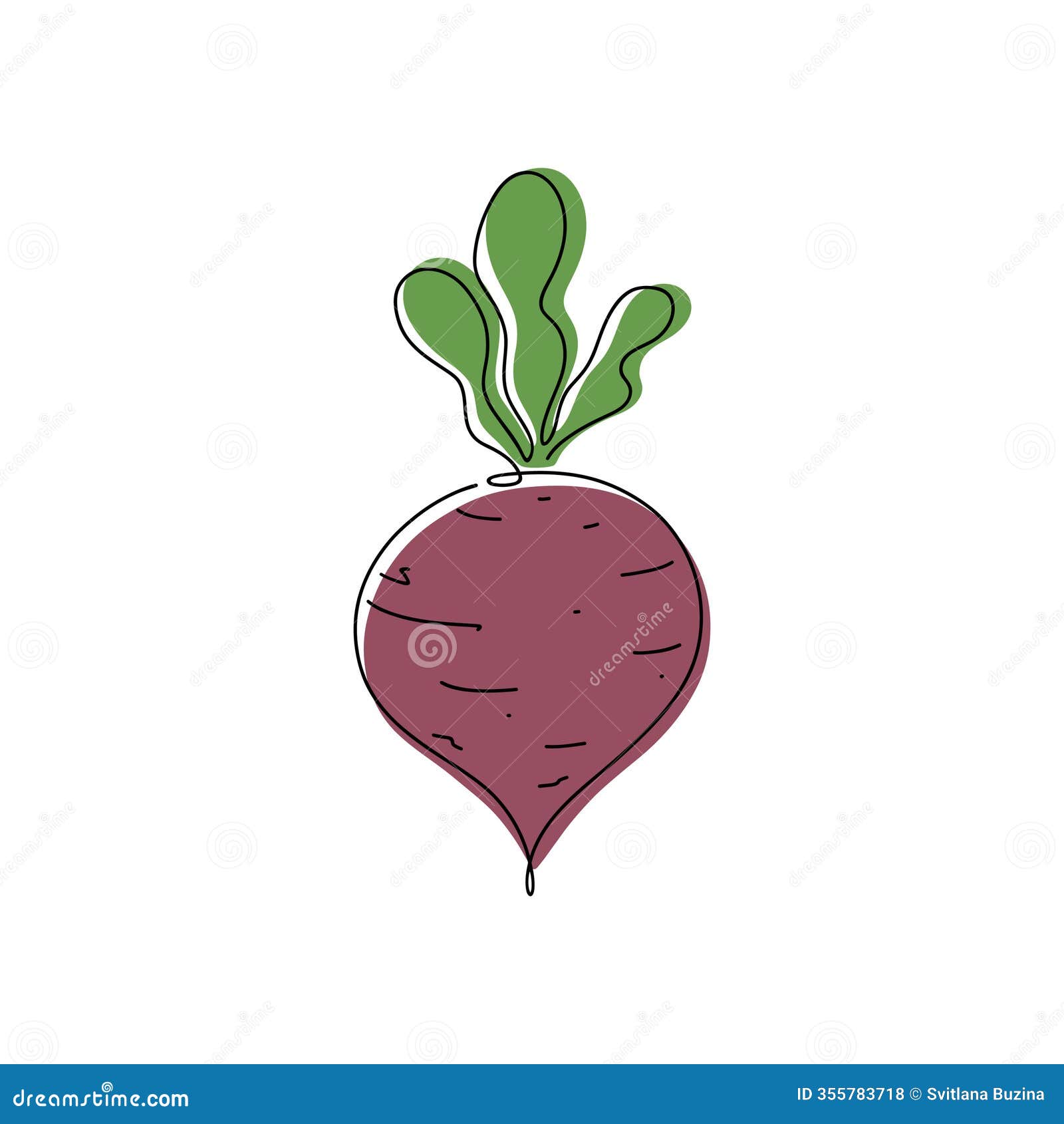 Beetroot, Color Illustration, Hand-drawn in One Continuous Line ...