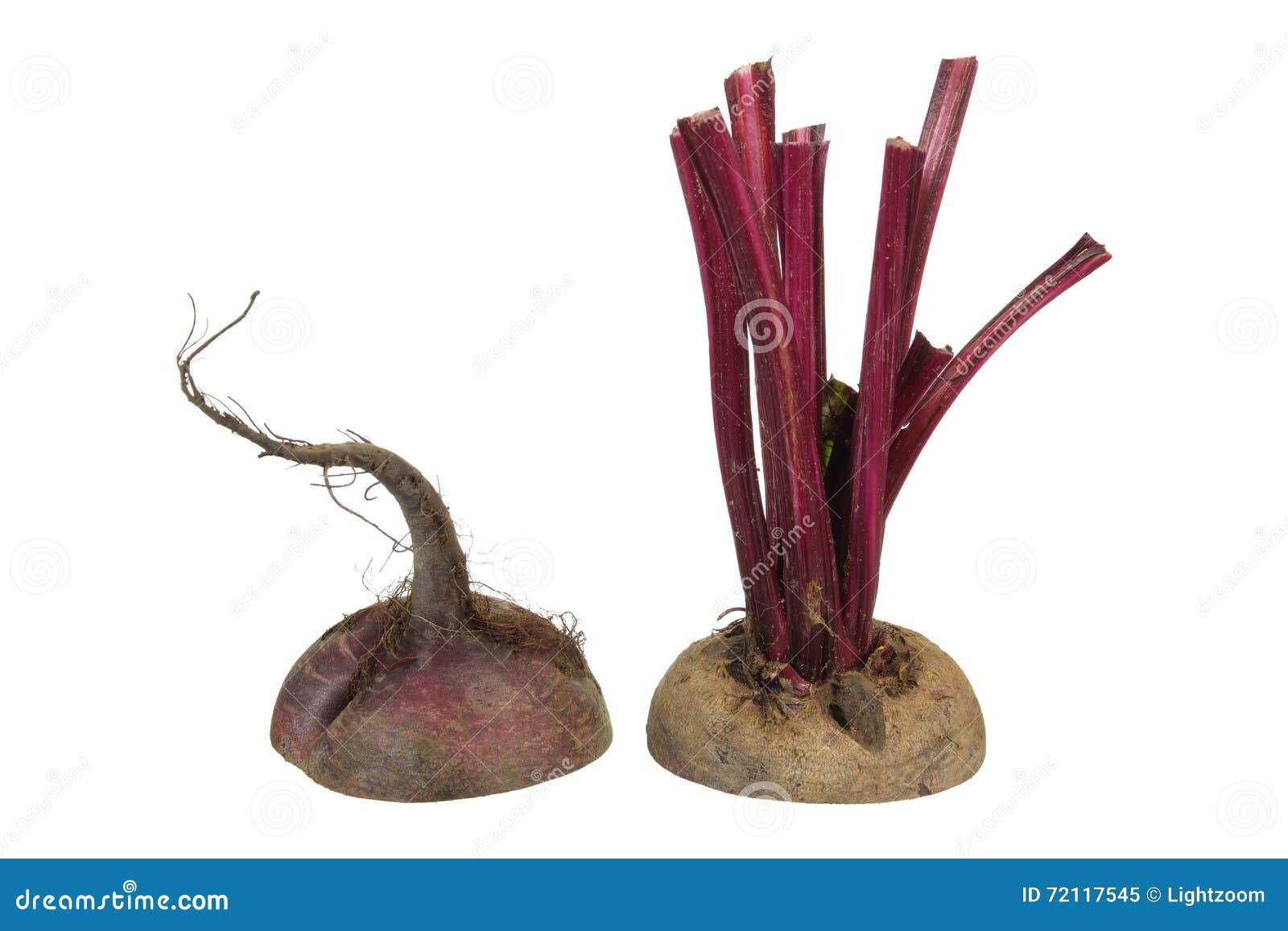Beetroot cut in Half stock image. Image of food, fiber - 72117545