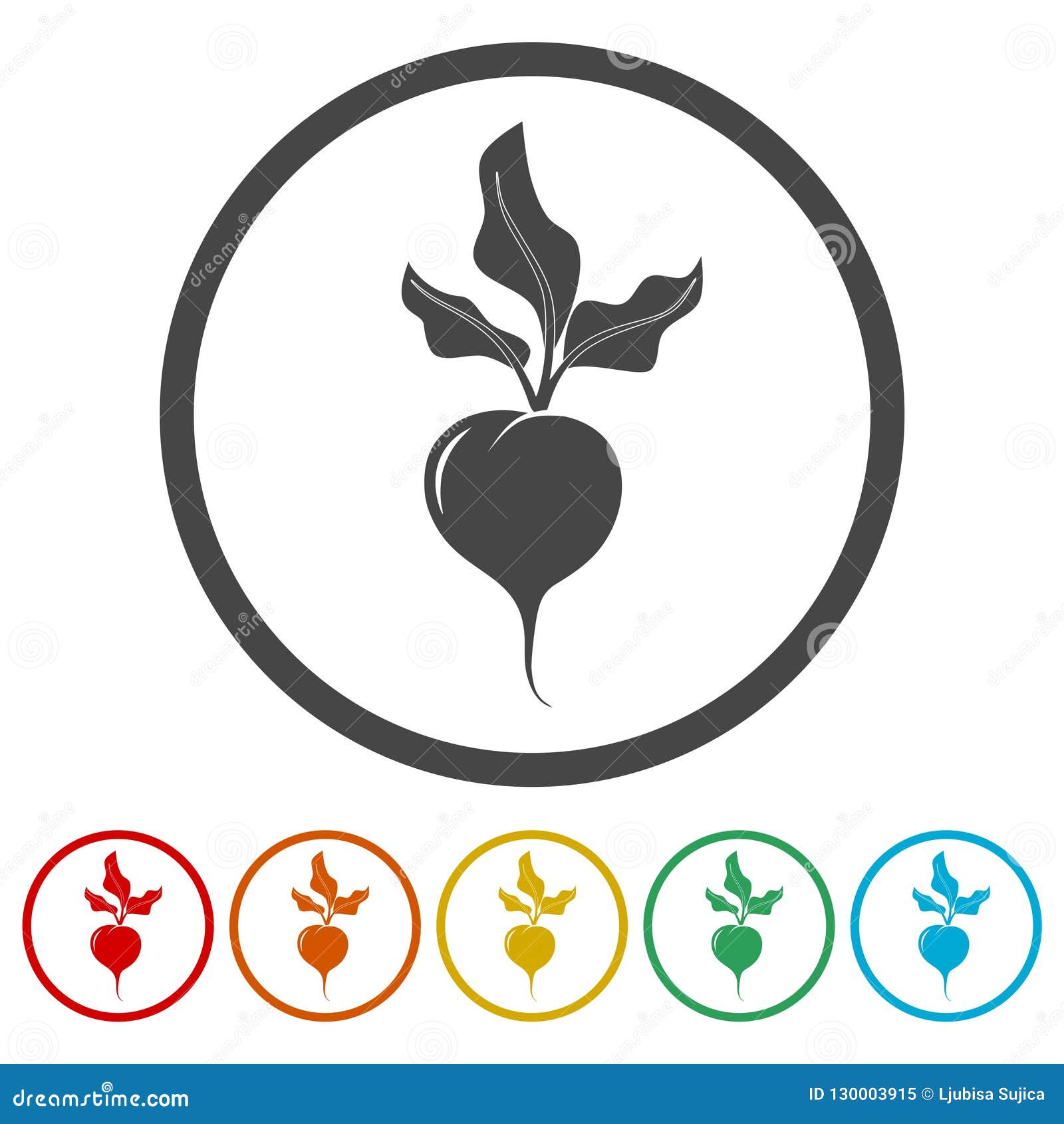 Beetroot Flat Design, Linear and Color Icons Set Stock Vector ...