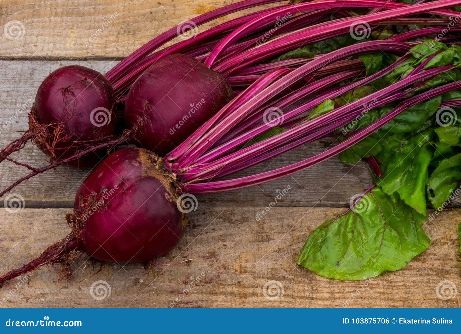 Beetroot from a Garden with Leaves and Roots Stock Photo - Image of ...