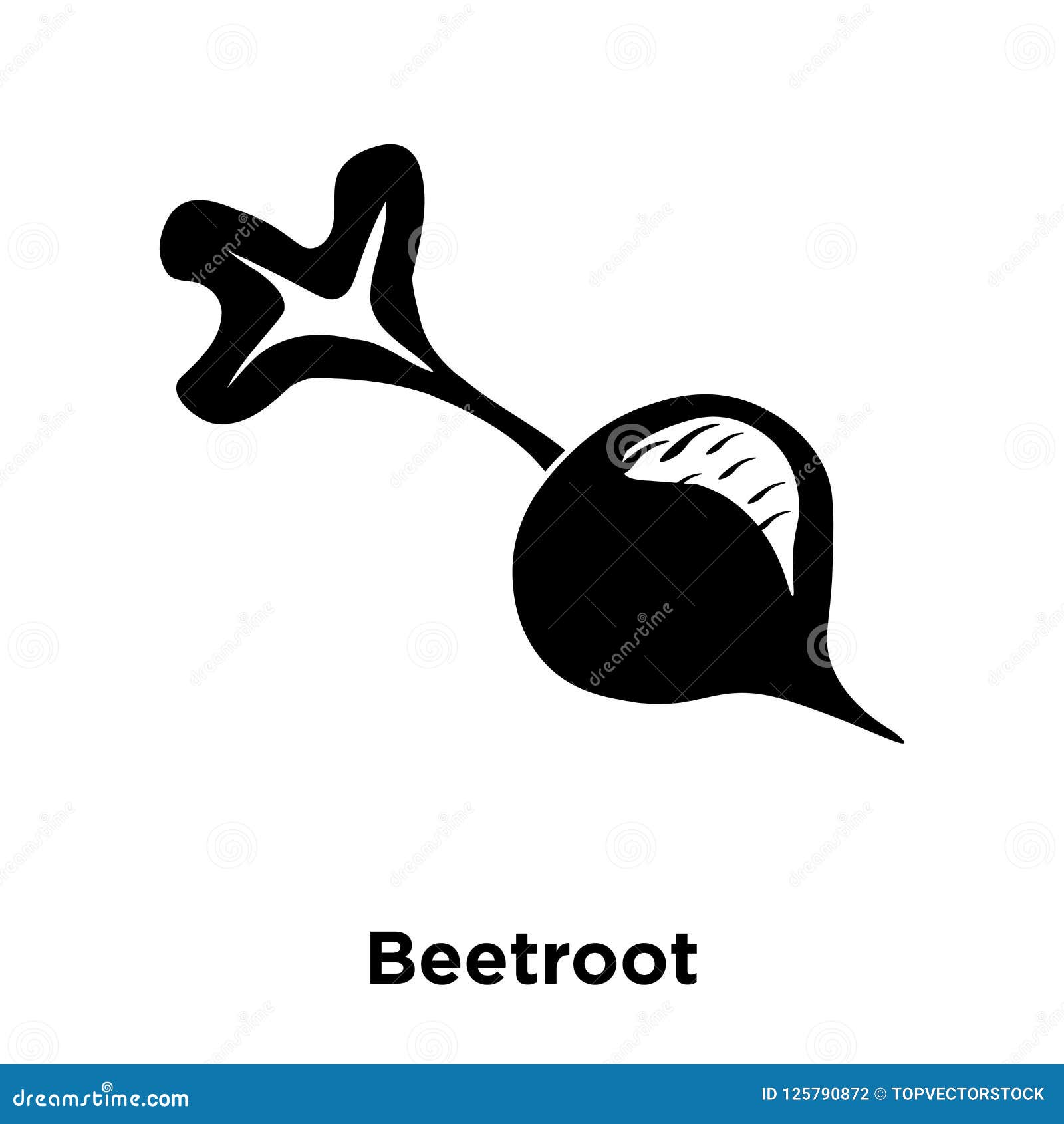 Beetroot Icon Vector Isolated on White Background, Logo Concept Stock ...