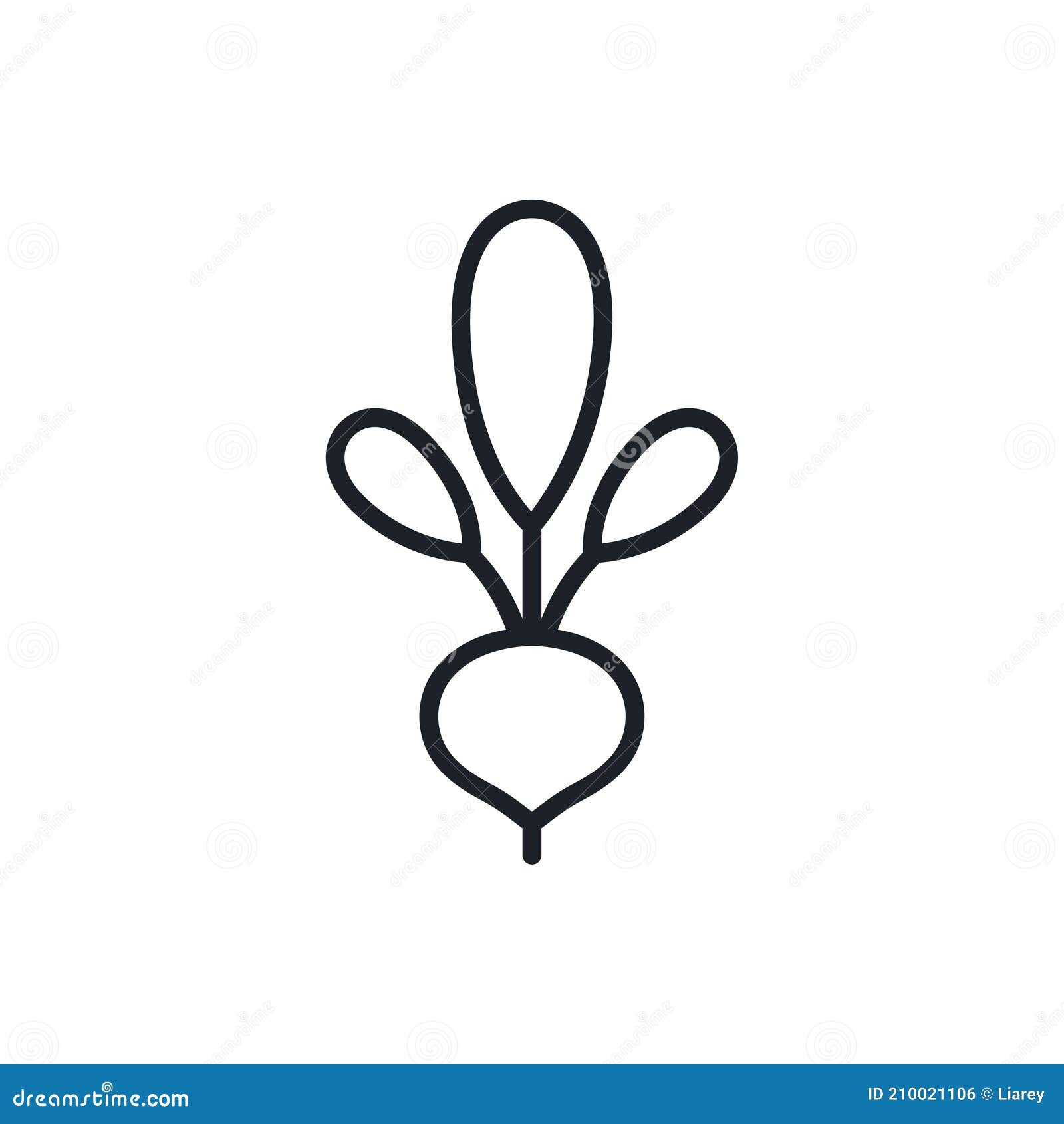 Beetroot Outline Sketch Cartoon Vector | CartoonDealer.com #286448307