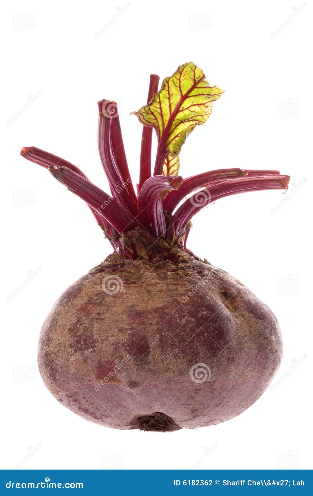 Beetroot Isolated stock photo. Image of beetroots, dessert - 6182362