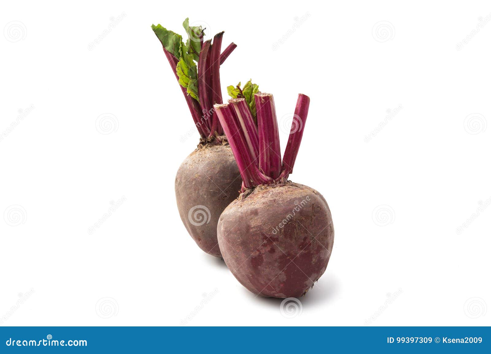 Beetroot isolated stock image. Image of closeup, horizontal - 99397309