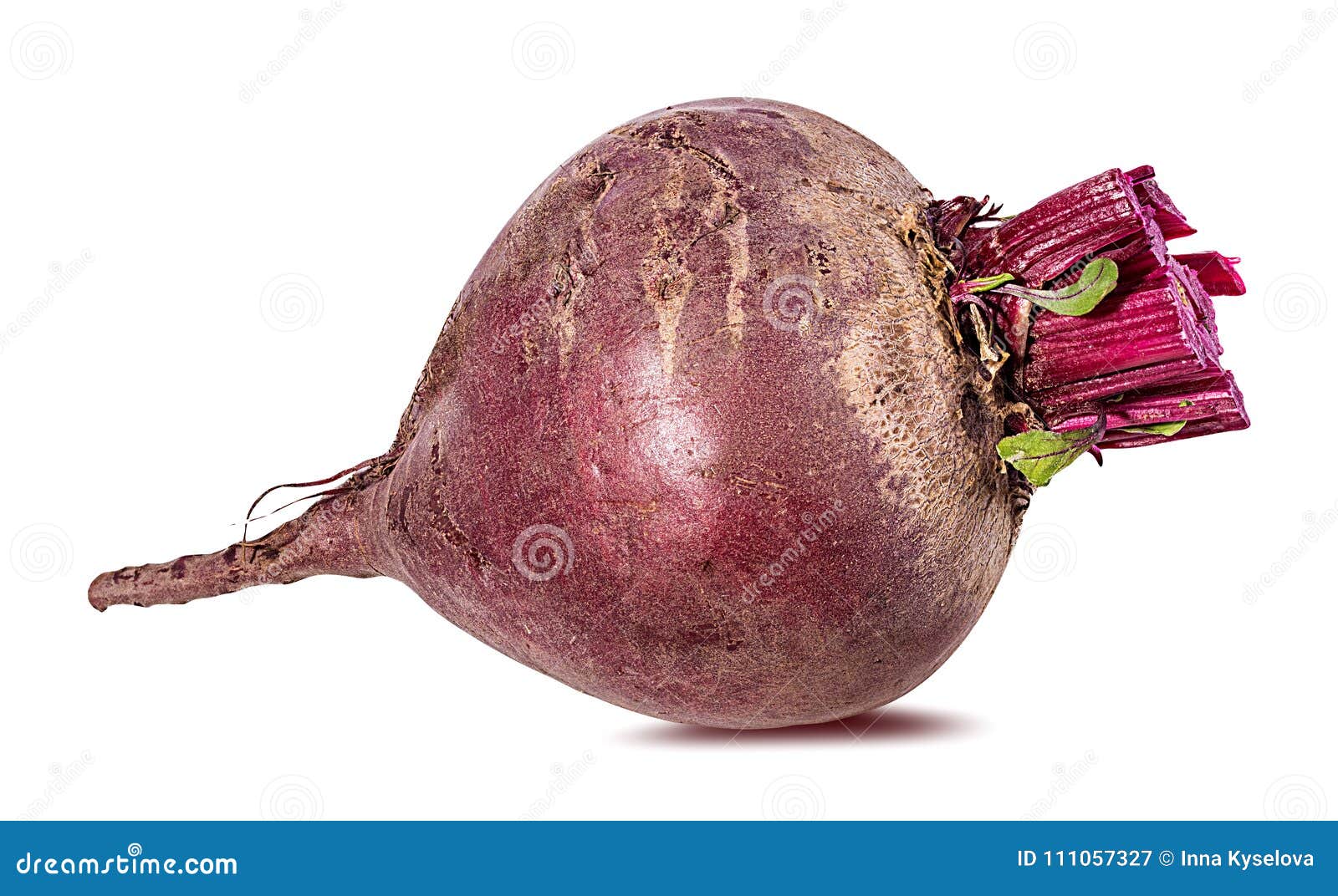 Beetroot with Leaves Isolated Stock Image - Image of plant, vegetable ...