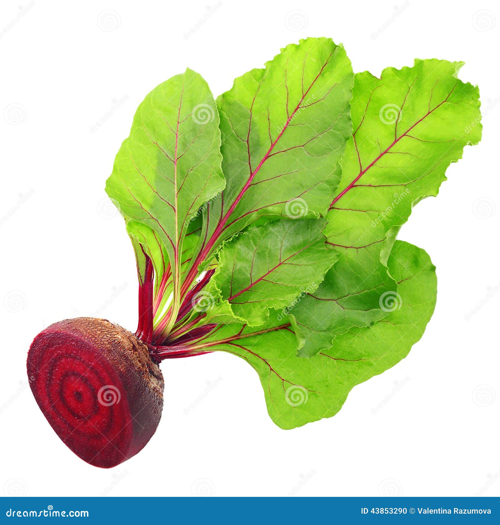 Beetroot with leaves stock photo. Image of delicious - 43853290