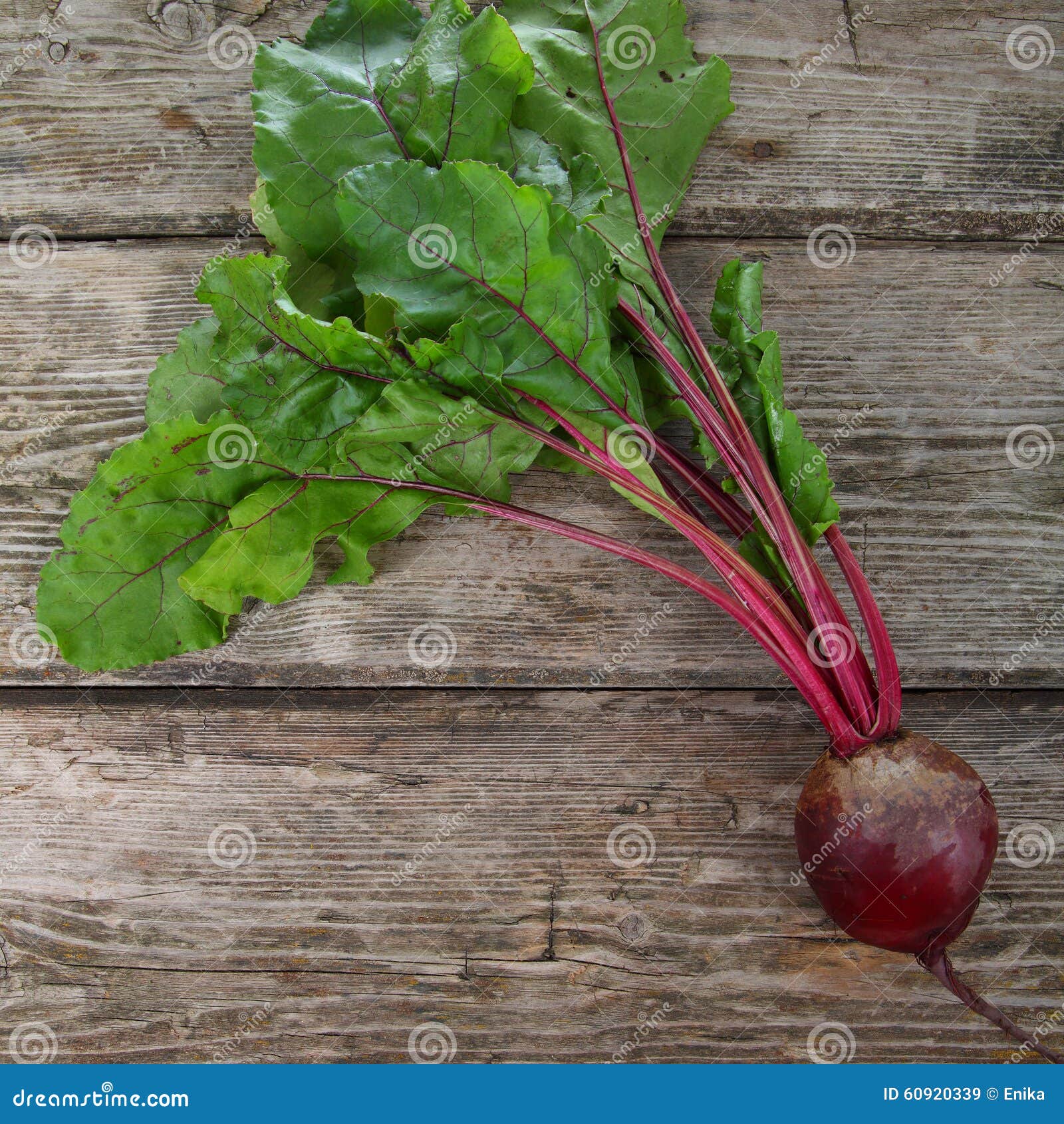 Beetroot with leaves stock image. Image of bunch, food - 60920339