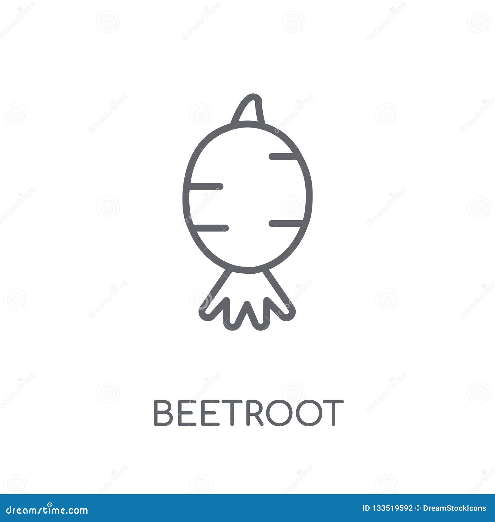 Beetroot Linear Icon. Modern Outline Beetroot Logo Concept on Wh Stock ...