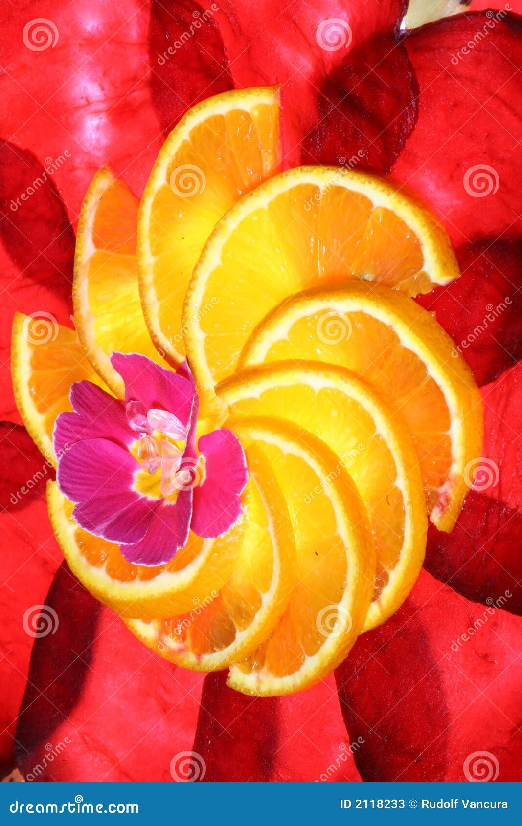 1,694 Beetroot Flower Stock Photos - Free & Royalty-Free Stock Photos ...