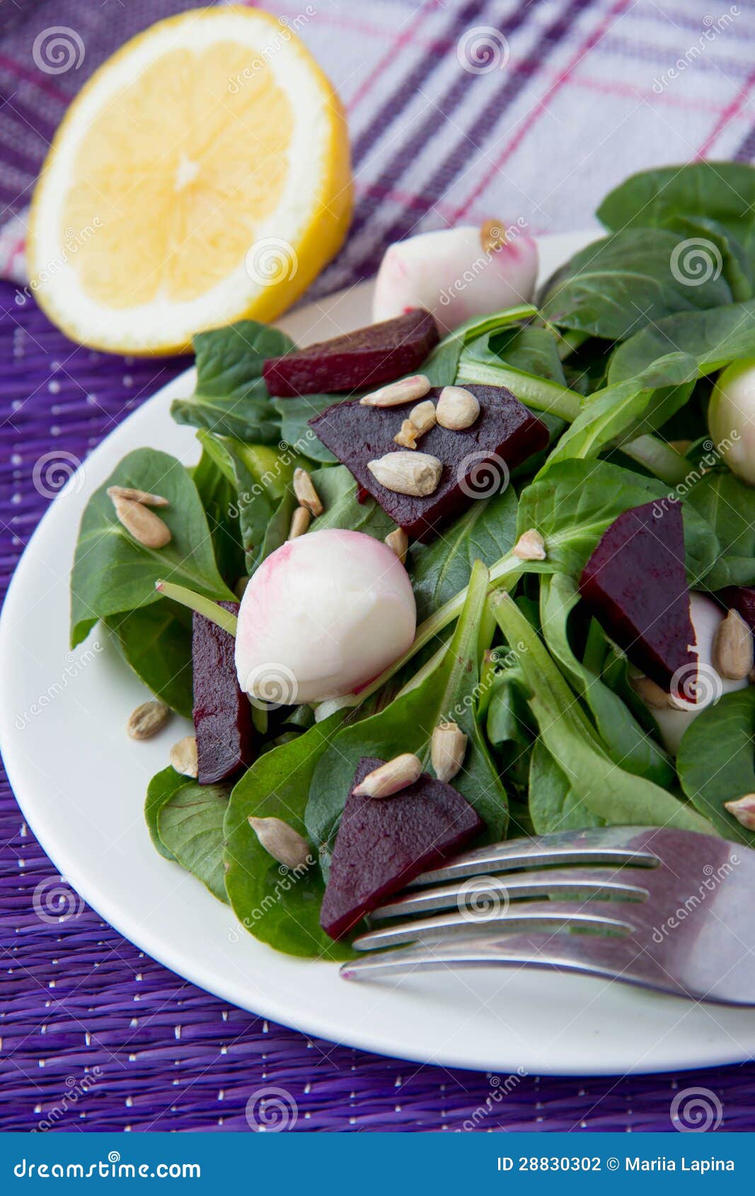 Beetroot Salad with Mozzarella Stock Photo - Image of cook, diet: 28830302