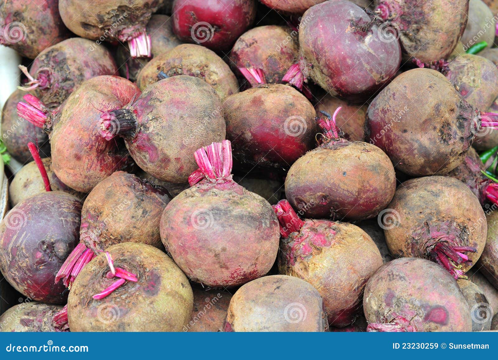 Beetroot for Sale at a Store Stock Image - Image of plant, health: 23230259