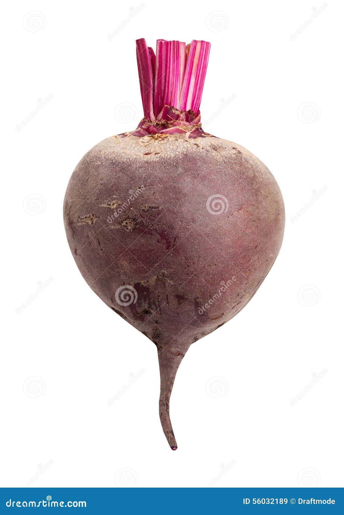 Beetroot stock image. Image of nature, vegetable, ripe - 56032189