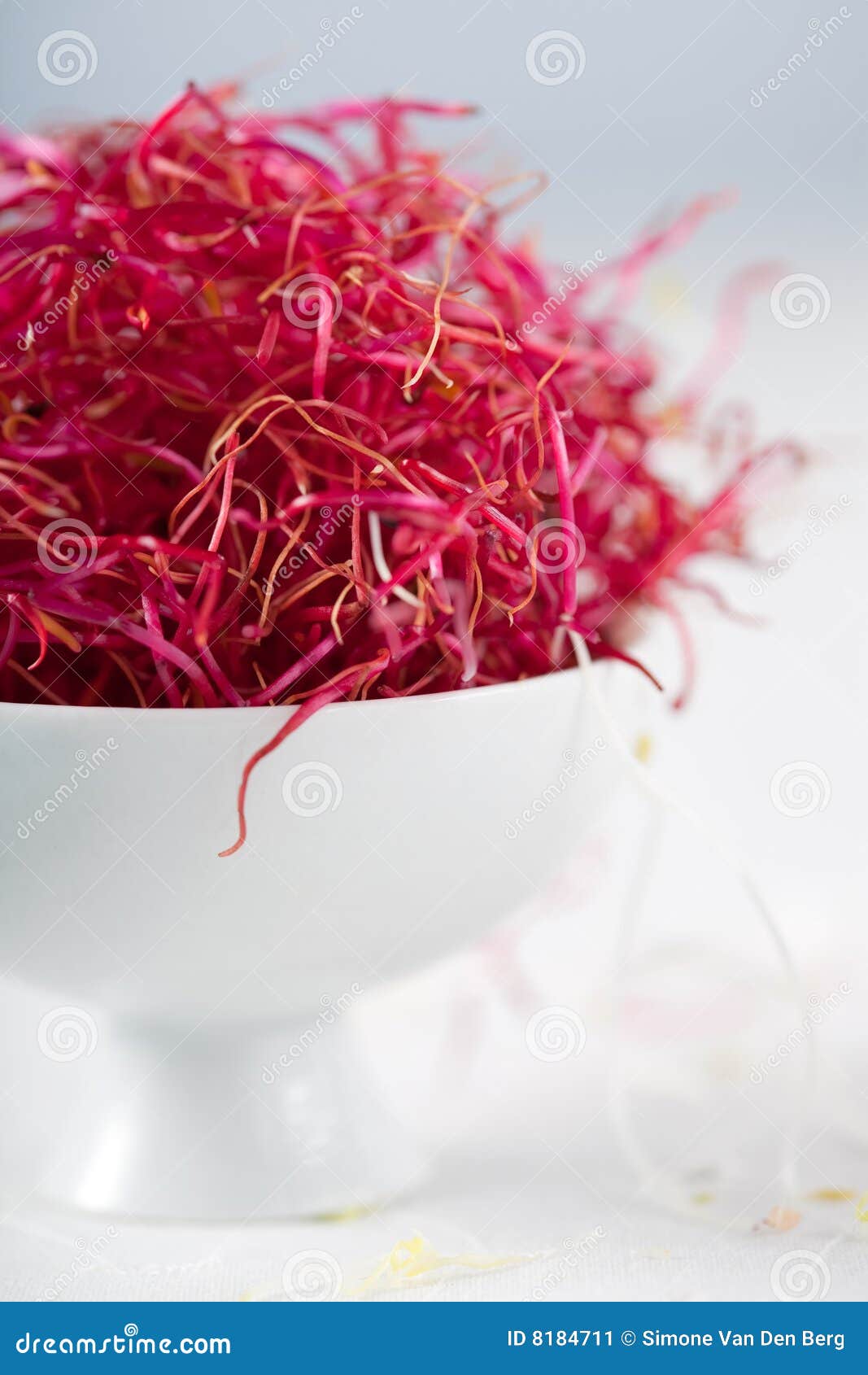 Beetroot sprouts stock image. Image of sprouts, vegetables - 8184711