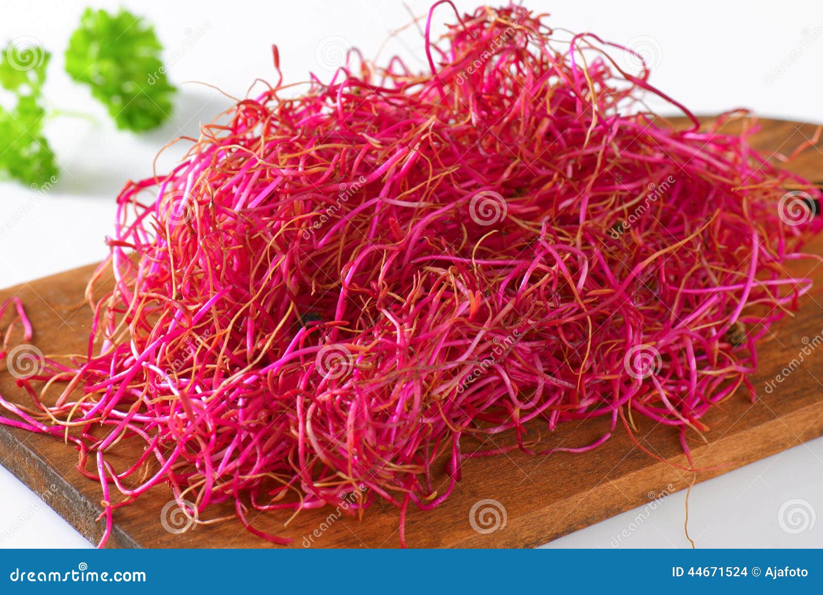 Beetroot sprouts stock photo. Image of sprouts, fresh - 44671524