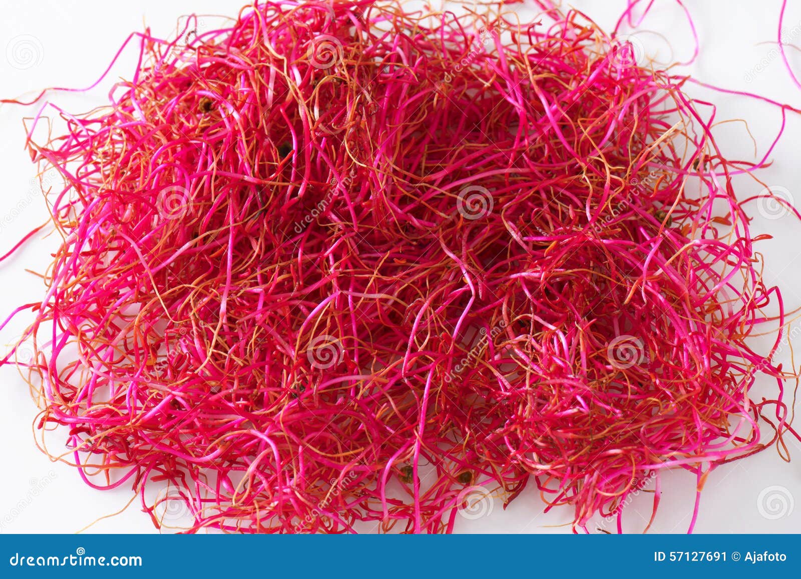 Beetroot sprouts stock image. Image of beetroot, vegetable - 57127691