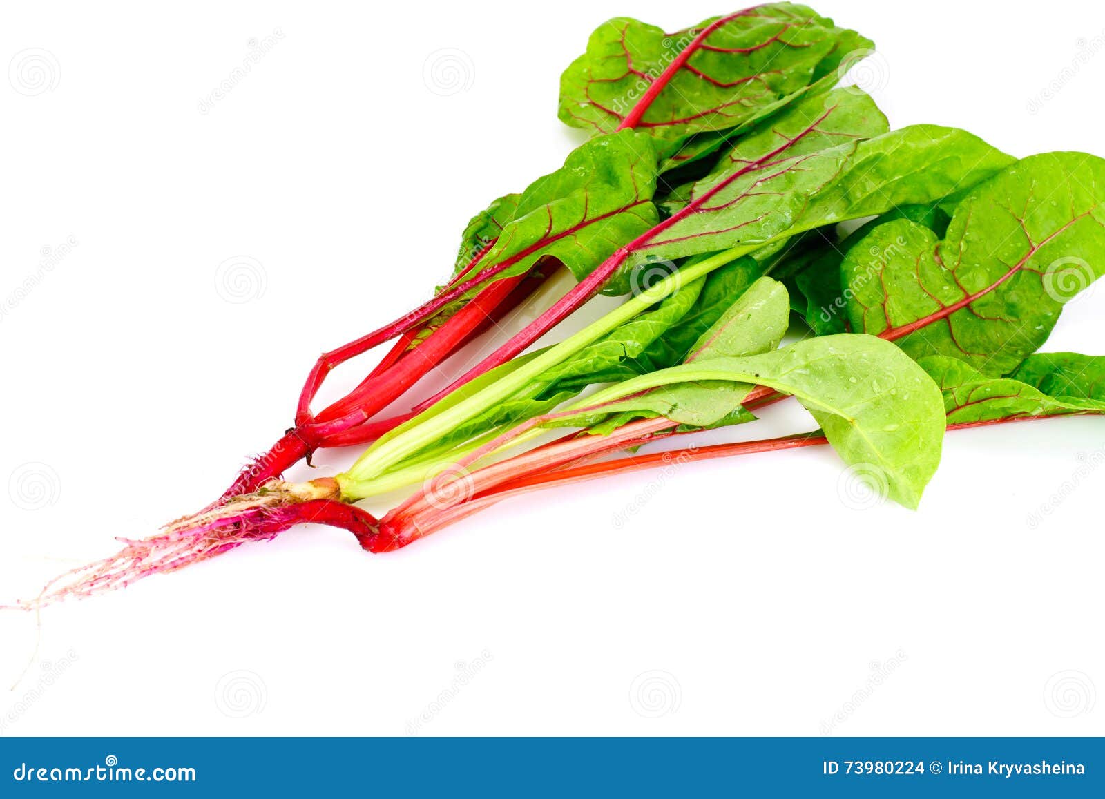 Beetroot Swiss Chard on a White Background Stock Photo - Image of ...