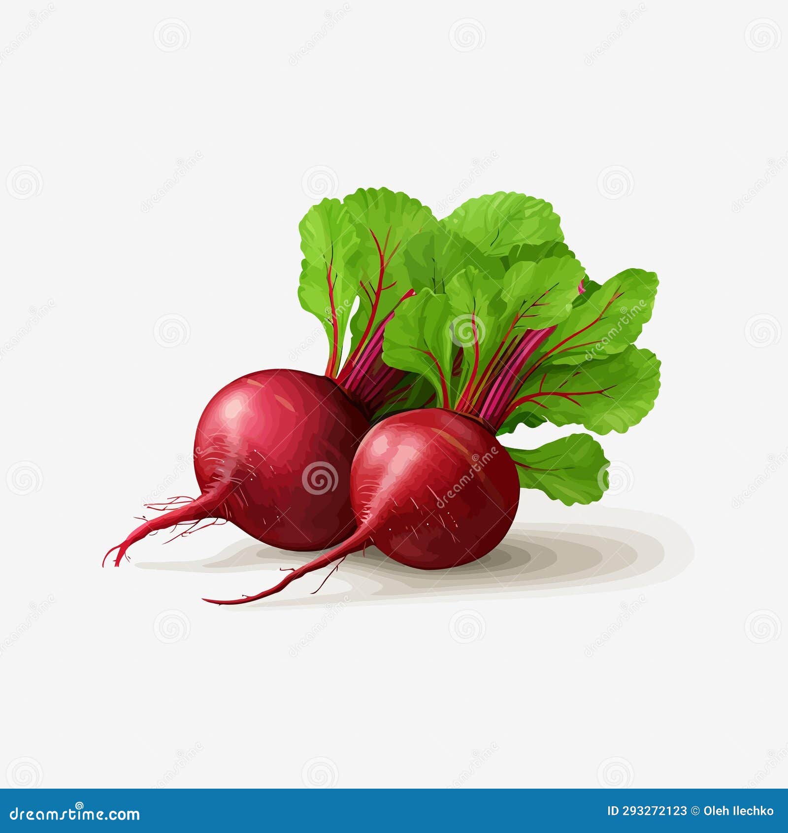 Beetroot Vector Flat Minimalistic Asset Isolated Illustration Stock ...