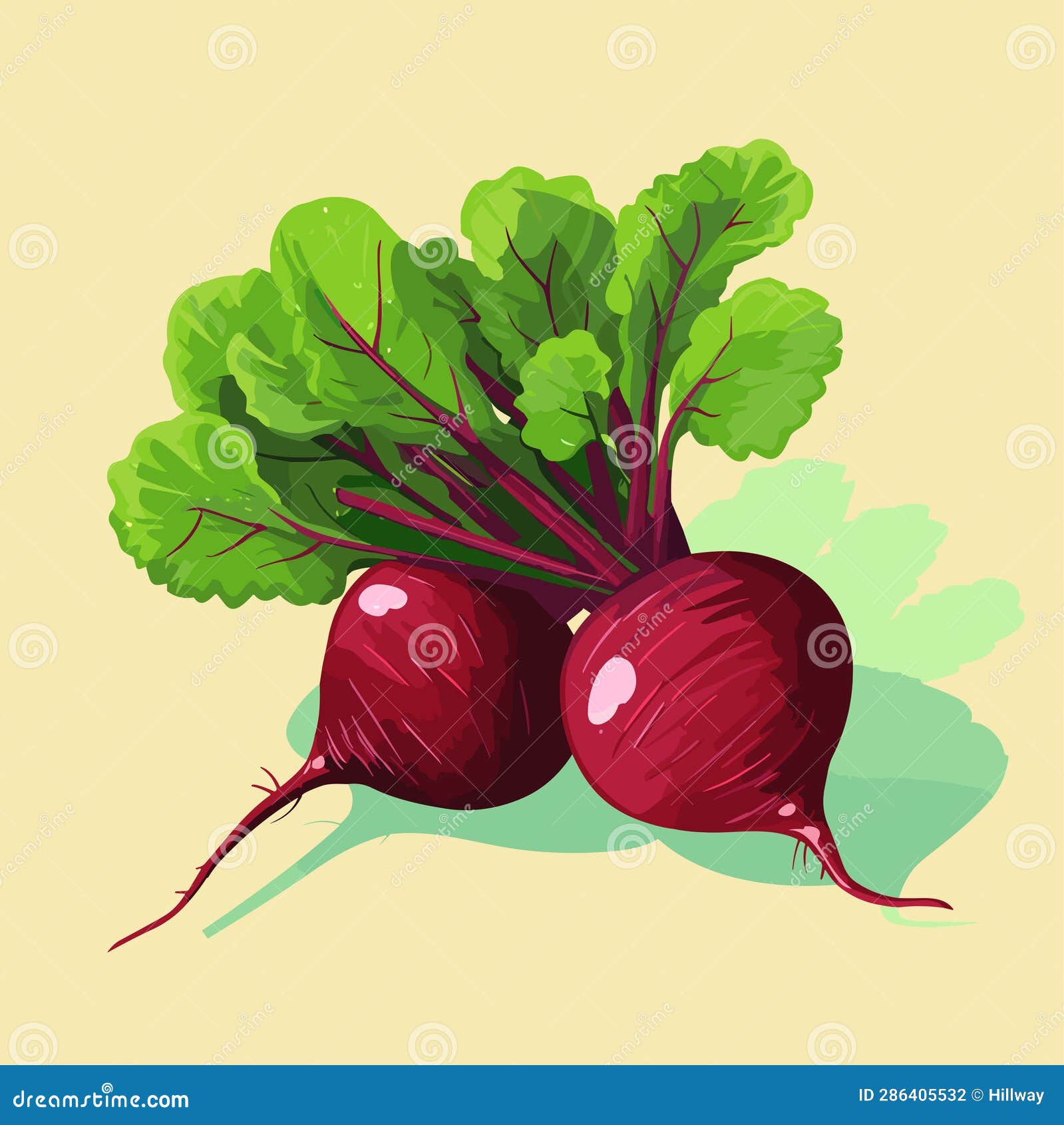Beetroot Vector Illustration with Green Leaves on Neutral Background ...