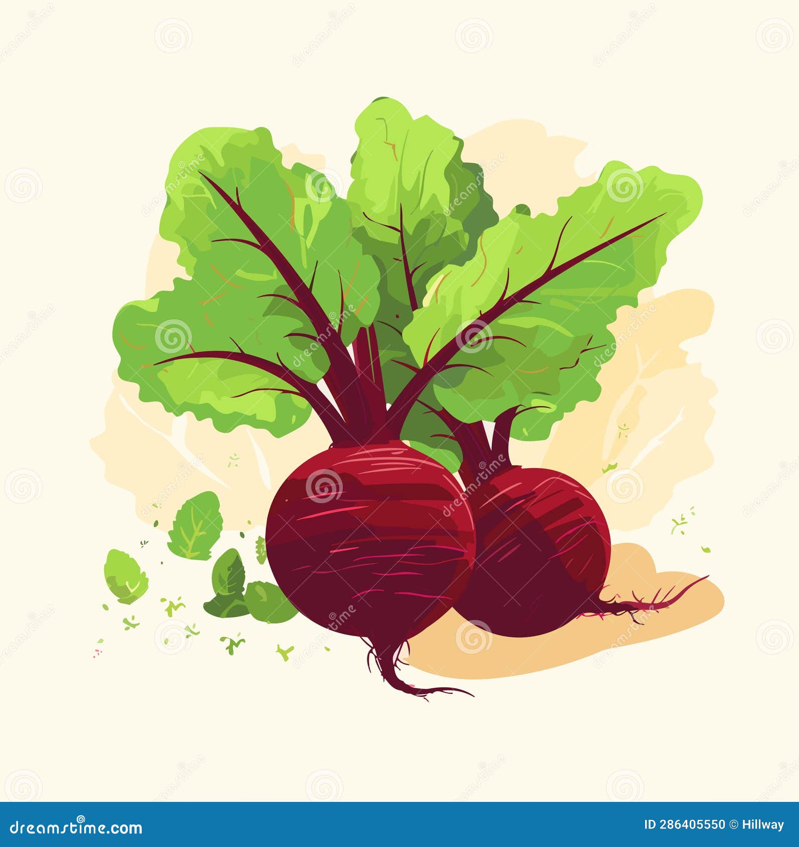 Beetroot Vector Illustration with Green Leaves on Neutral Background ...