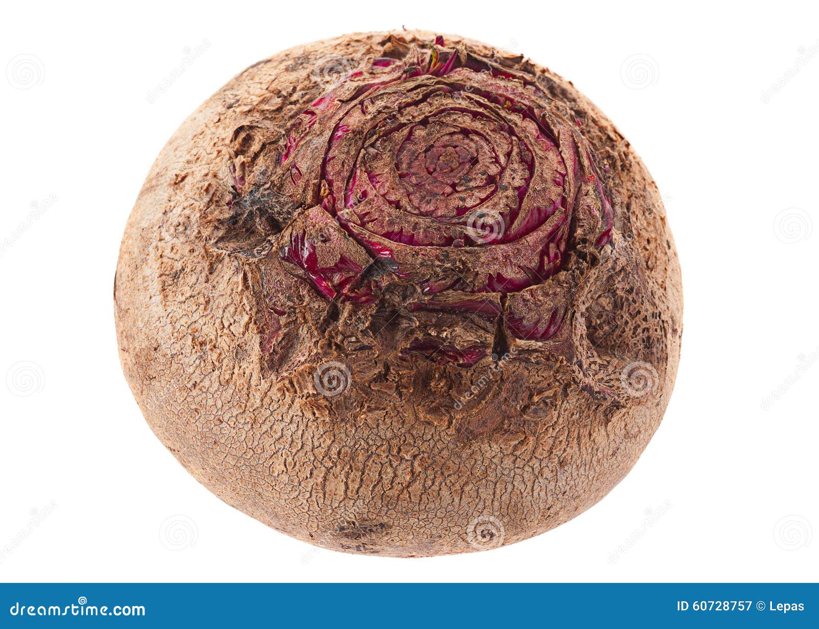 Beetroot Vegetable Back Side Stock Image - Image of root, sliced: 60728757