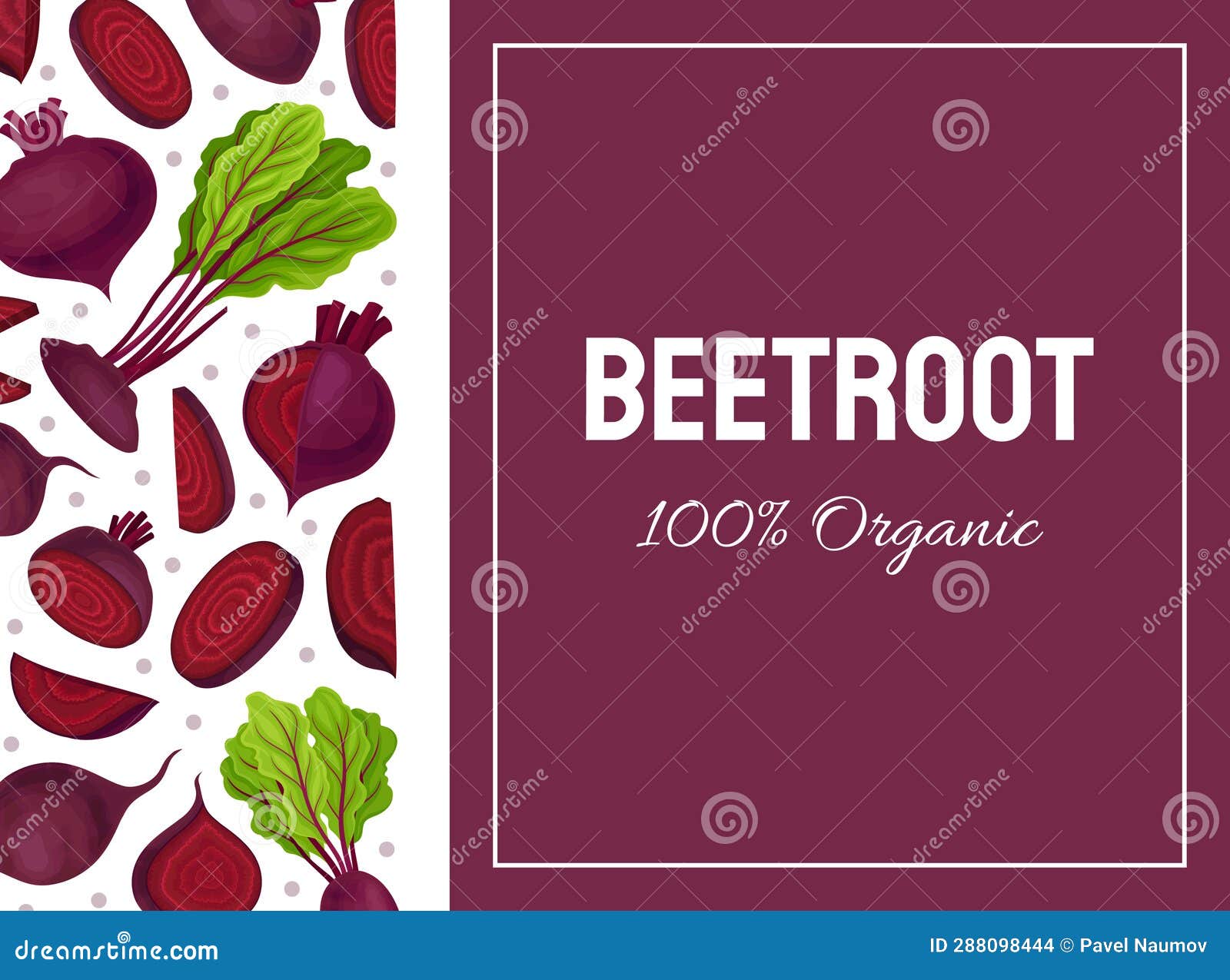 Beetroot Vegetable Crop Banner Design Design Vector Template Stock ...