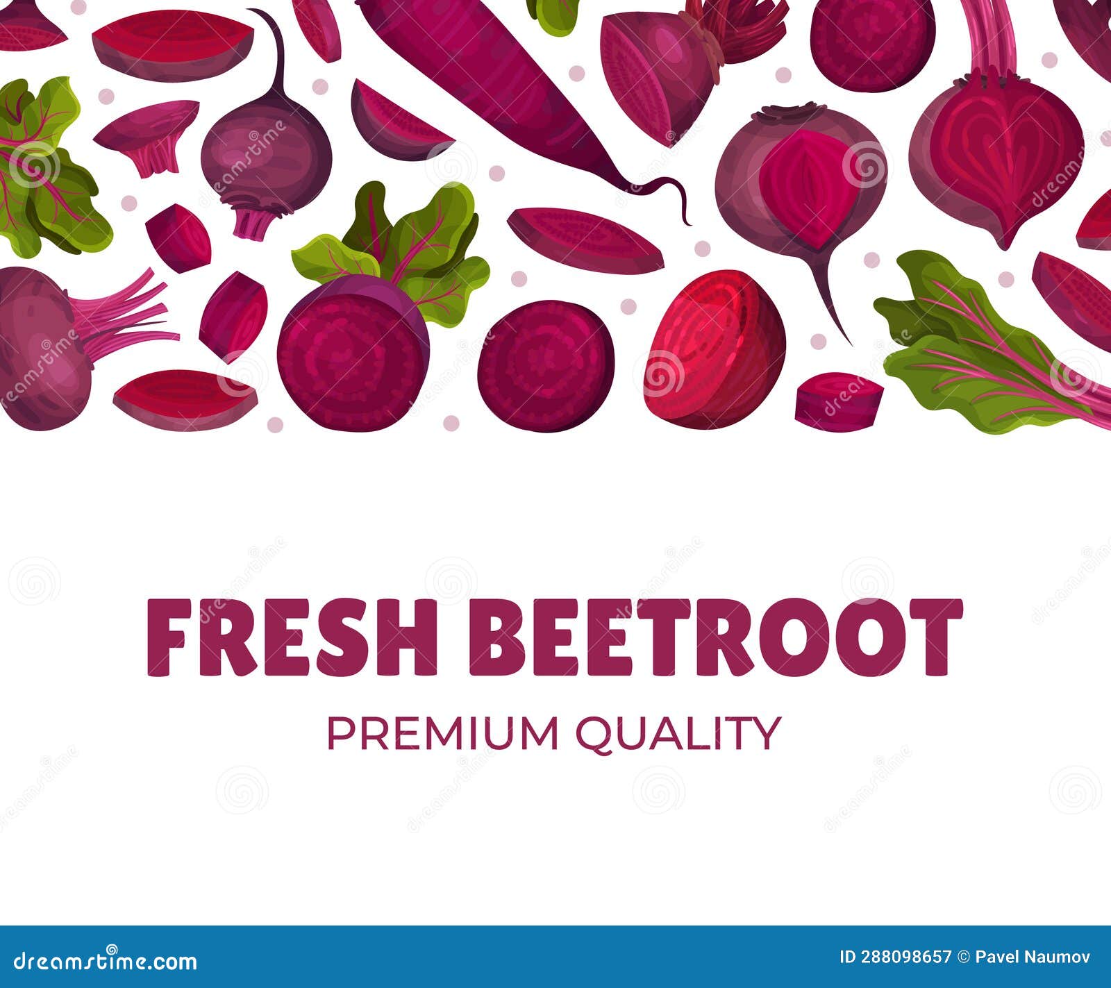 Beetroot Vegetable Crop Banner Design Design Vector Template Stock ...