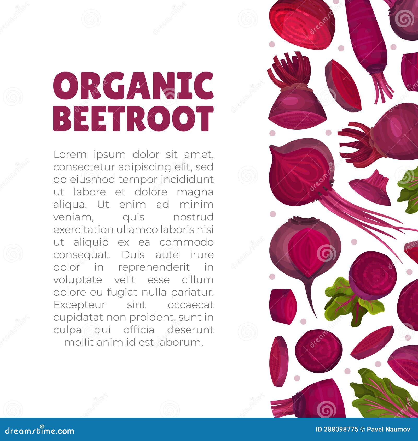 Beetroot Vegetable Crop Banner Design Design Vector Template Stock ...
