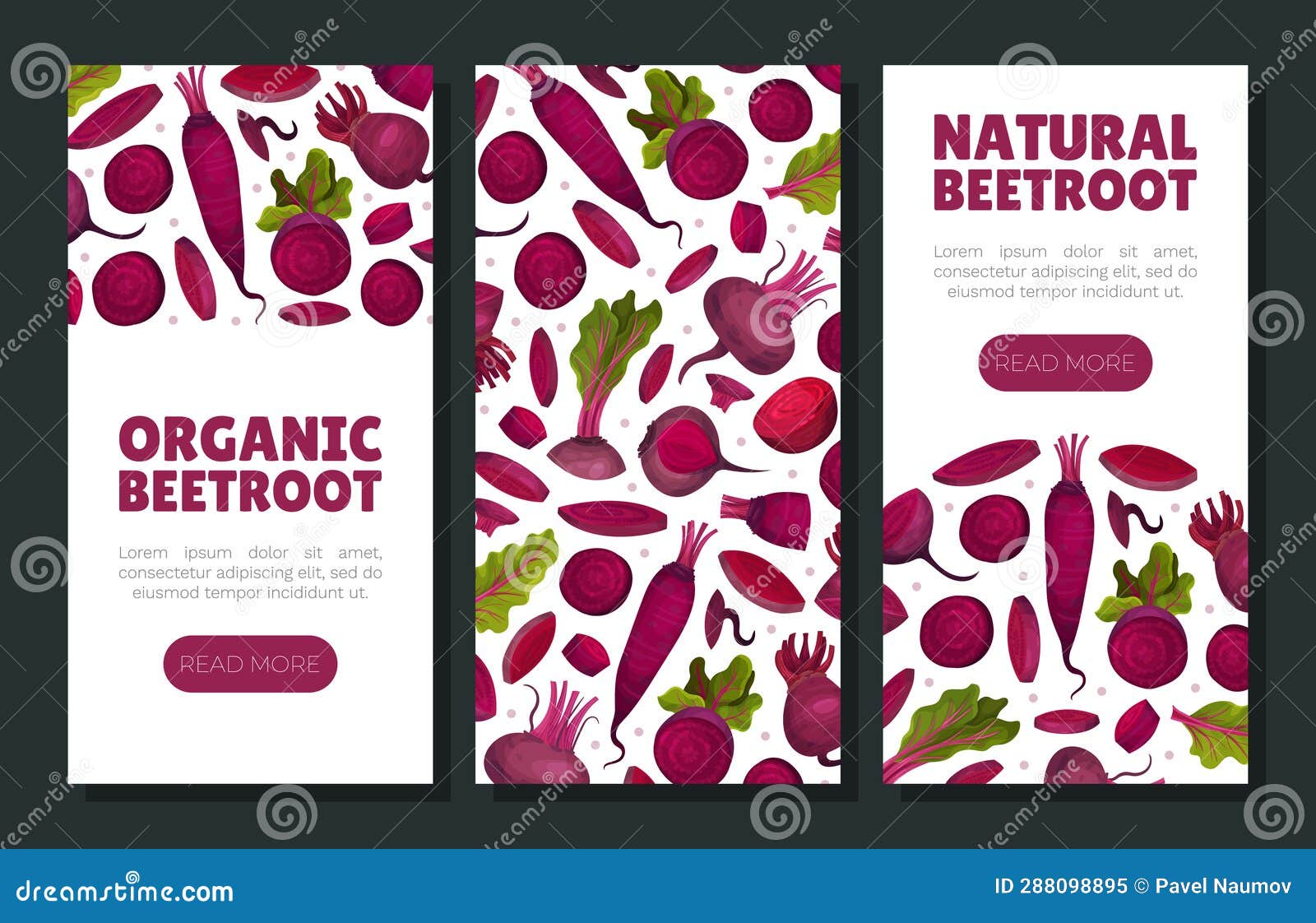 Beetroot Vegetable Crop Banner Design Design Vector Template Stock ...