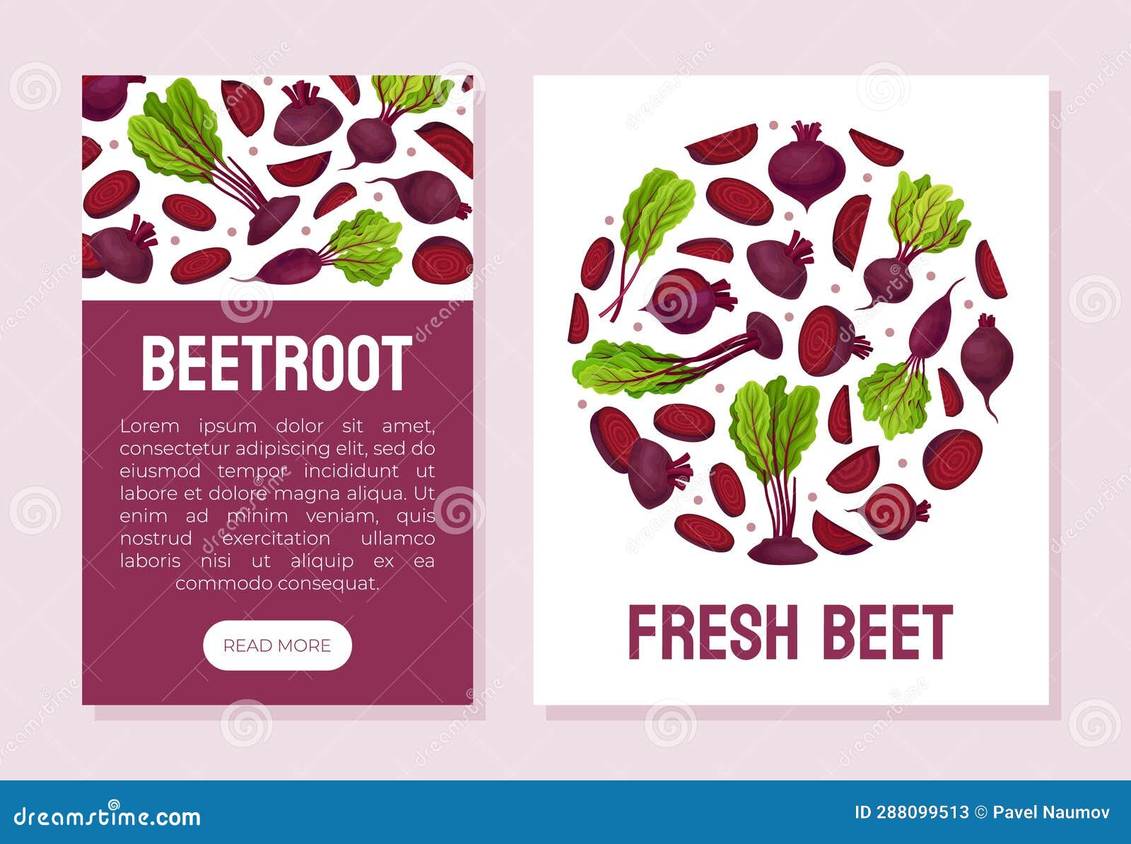 Beetroot Vegetable Crop Banner Design Design Vector Template Stock ...