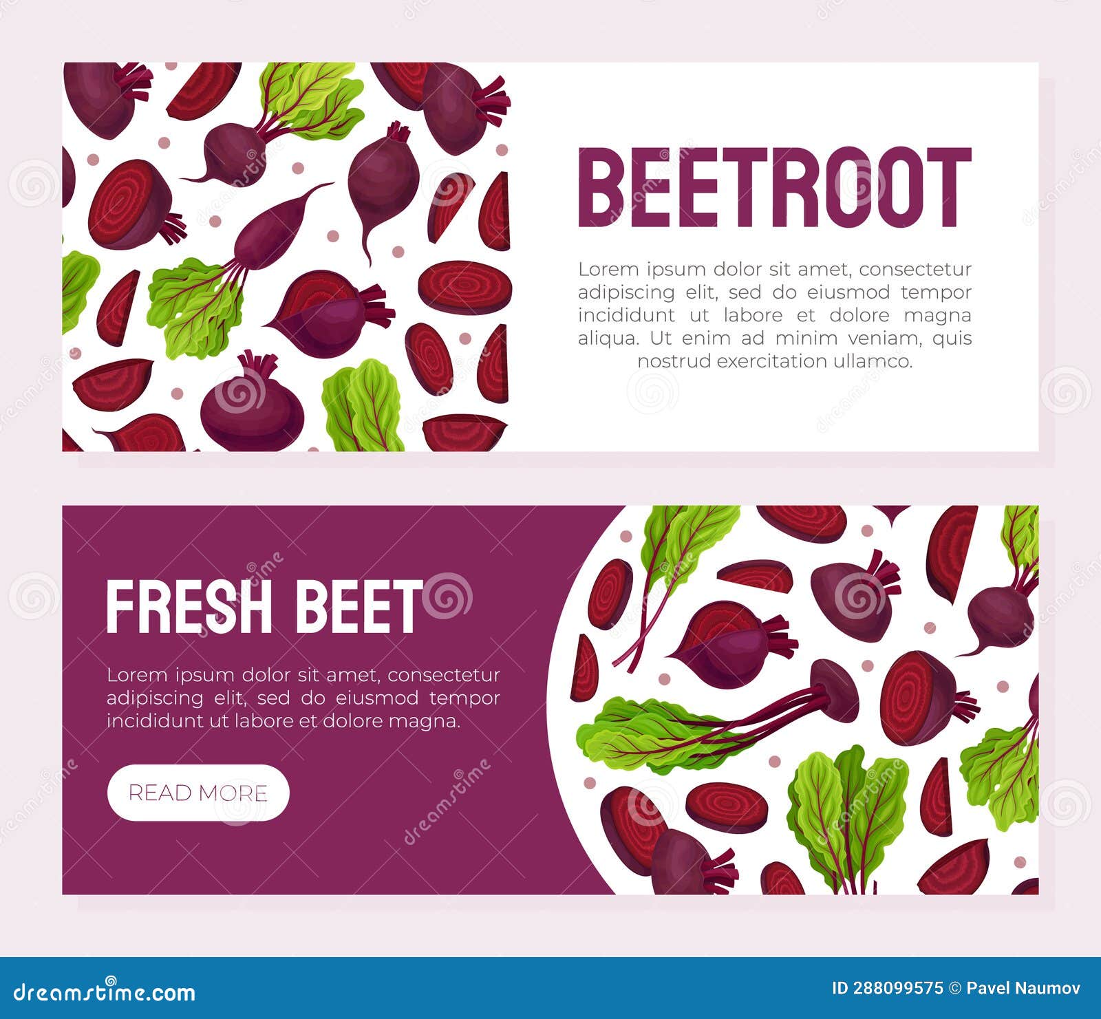 Beetroot Vegetable Crop Banner Design Design Vector Template Stock ...