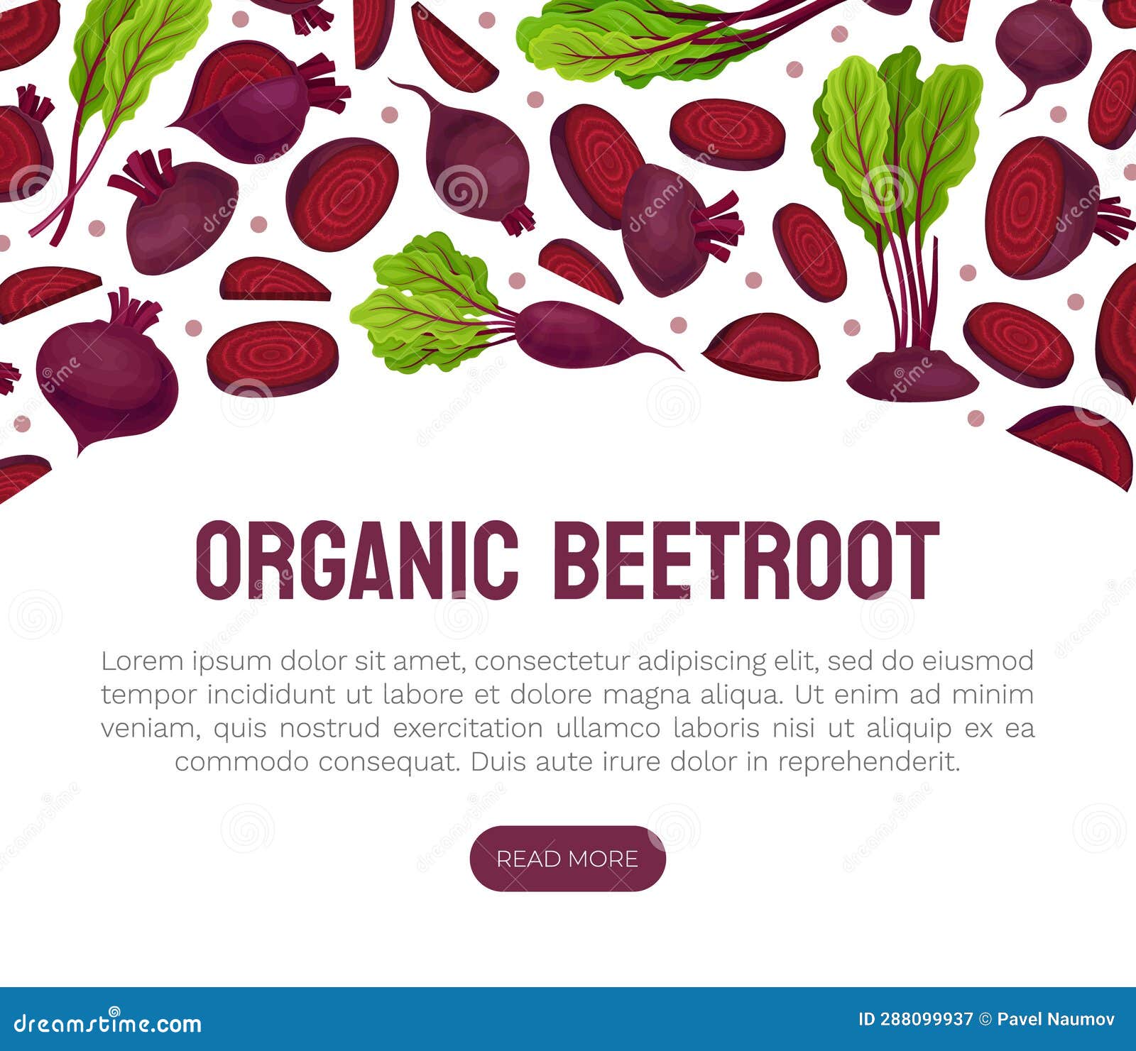 Beetroot Vegetable Crop Banner Design Design Vector Template Stock ...