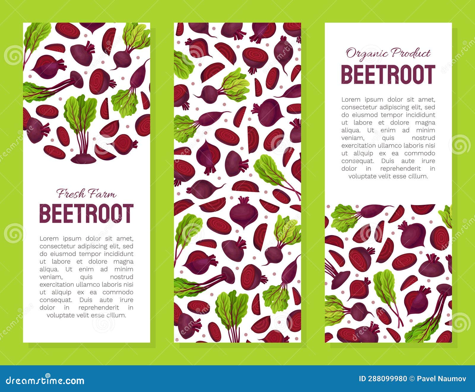 Beetroot Vegetable Crop Banner Design Design Vector Template Stock ...
