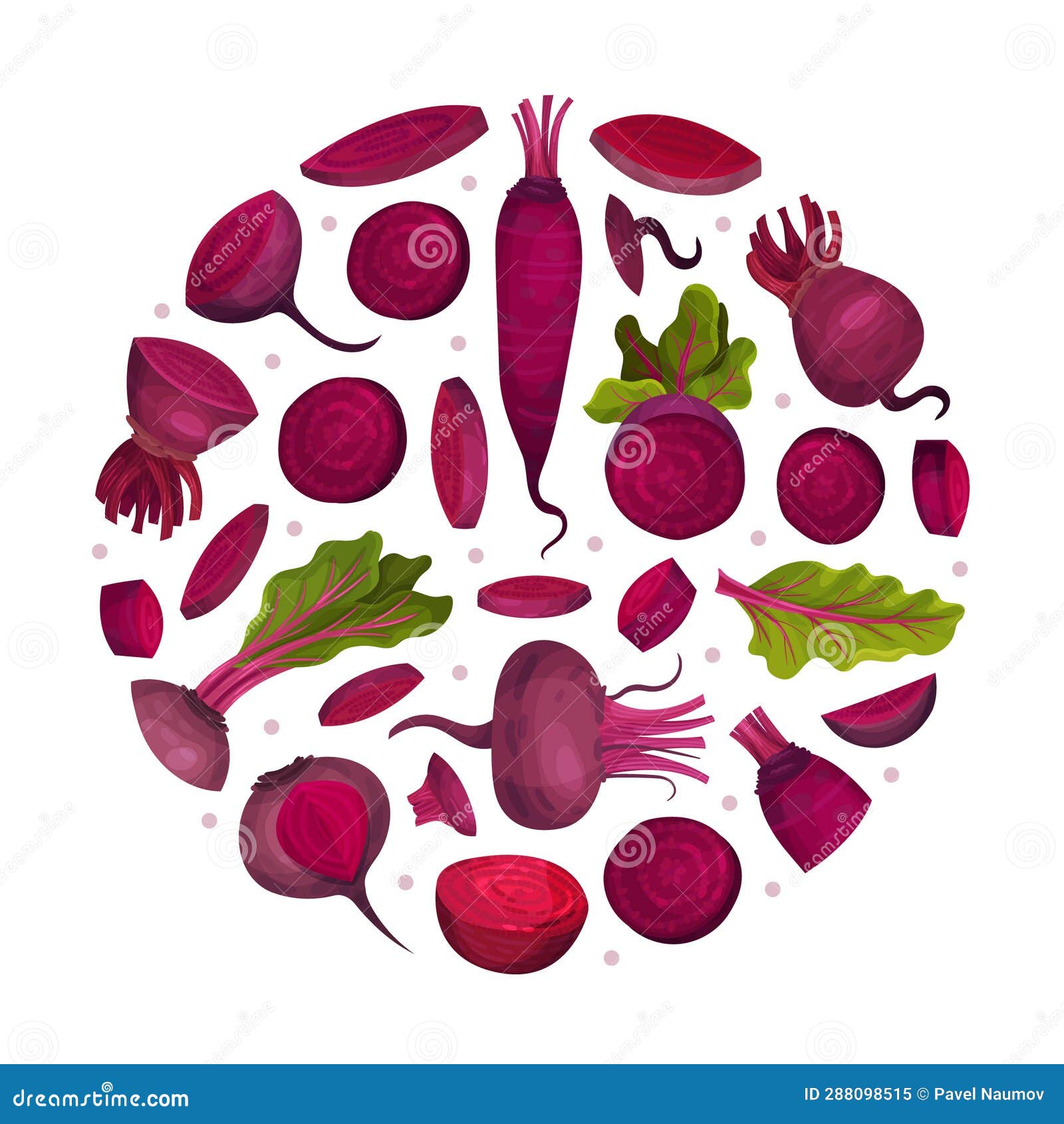 Beetroot Vegetable Crop Round Composition Design Vector Template Stock ...