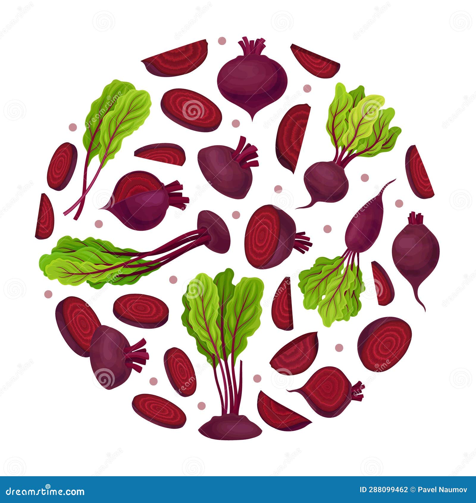 Beetroot Vegetable Crop Round Composition Design Vector Template Stock ...