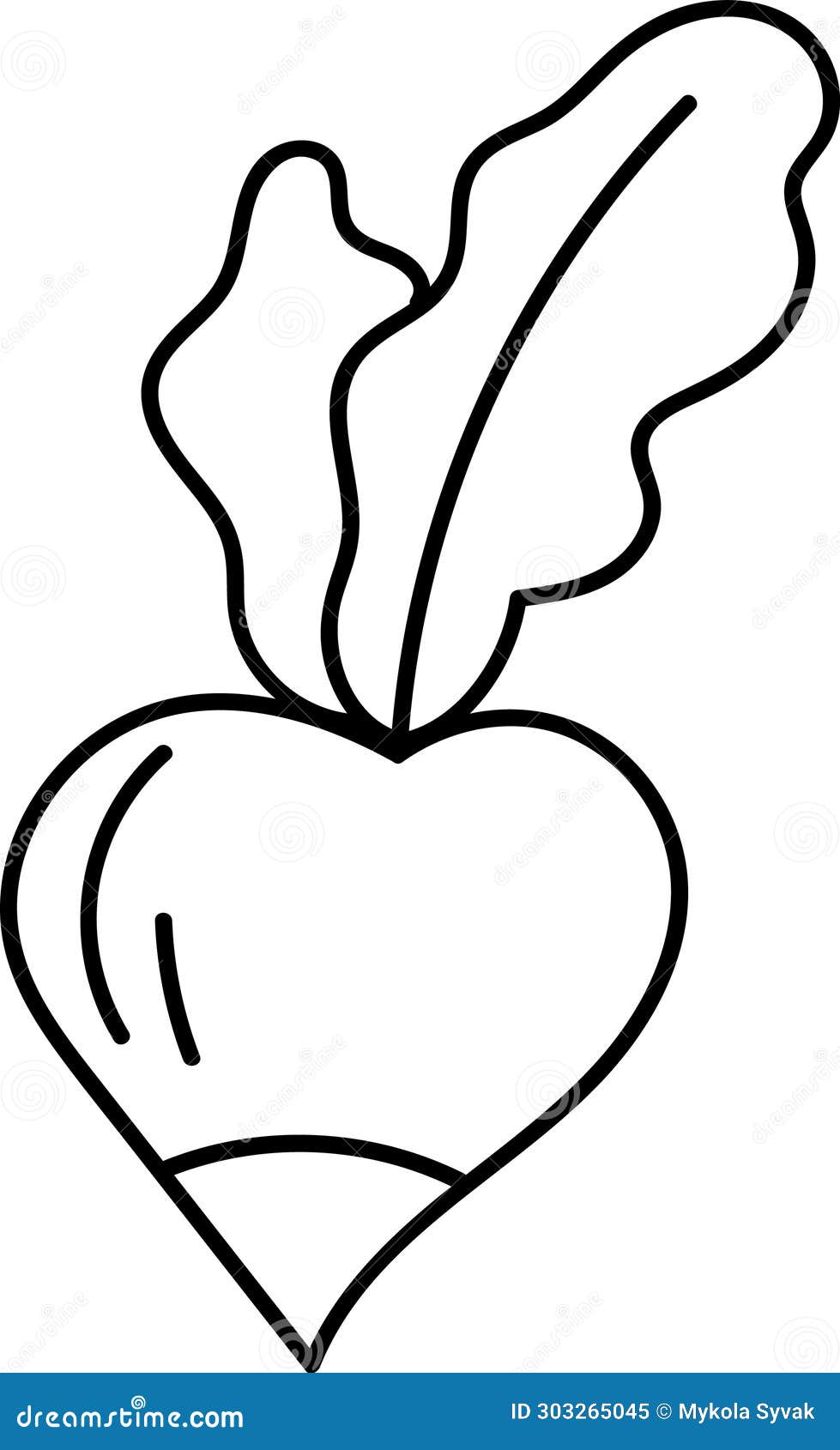 Beetroot Vegetable Outline stock vector. Illustration of line - 303265045