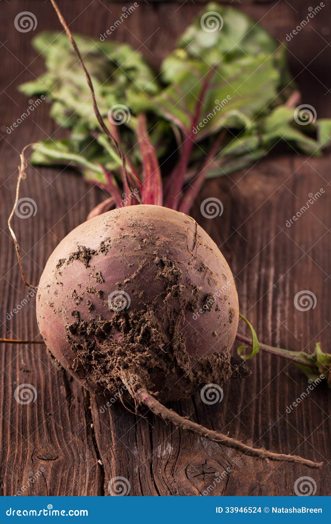 Beetroot on wood stock photo. Image of produce, green - 33946524