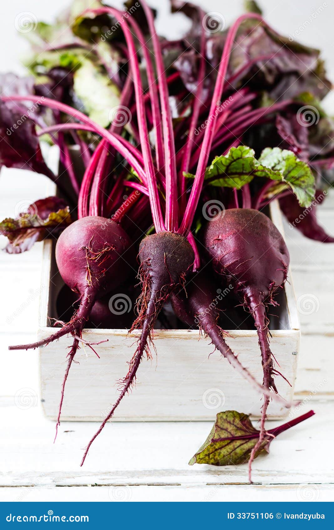 Beetroots stock photo. Image of close, kitchen, beet - 33751106