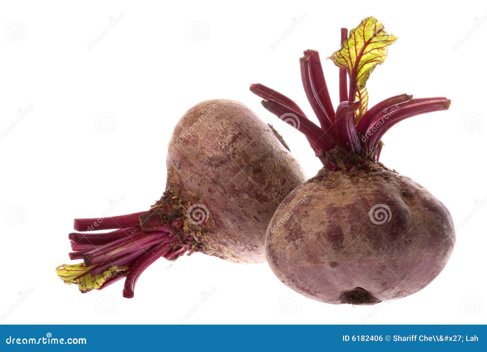 Beetroots Isolated stock photo. Image of roots, isolated - 6182406