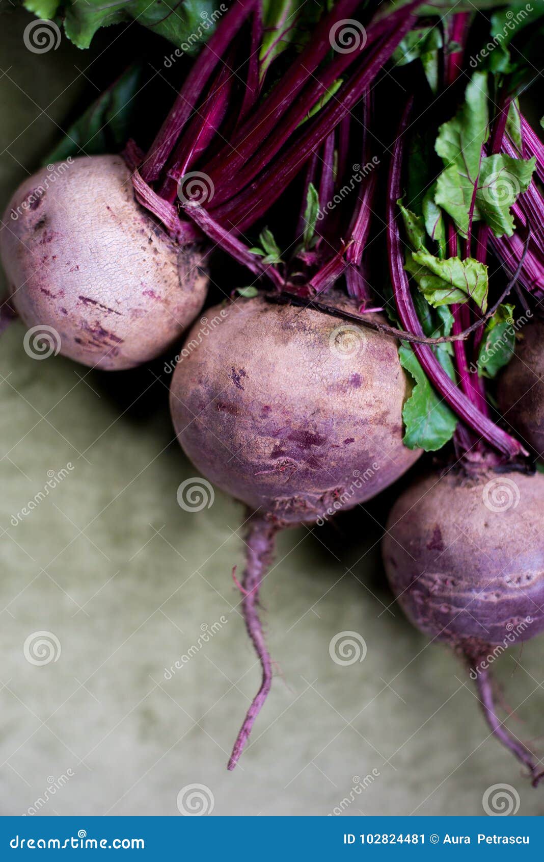 Beetrot fresco imagen de archivo. Imagen de detalles - 102824481